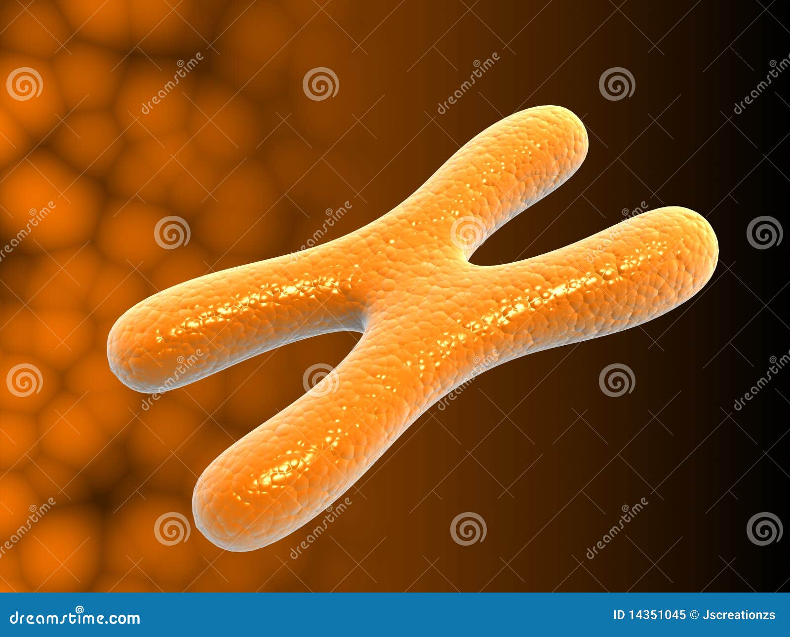 Cromosomas stock de ilustración. Ilustración de ciencia - 14351045