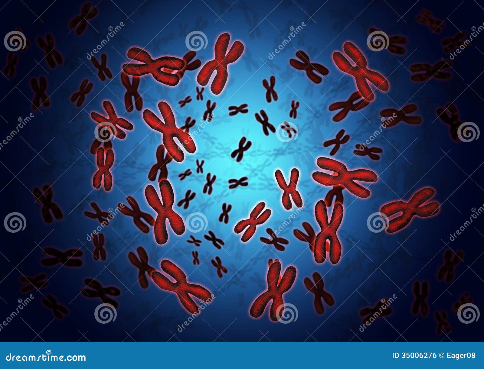 Cromosomas Imagen de archivo libre de regalías - Imagen: 35006276