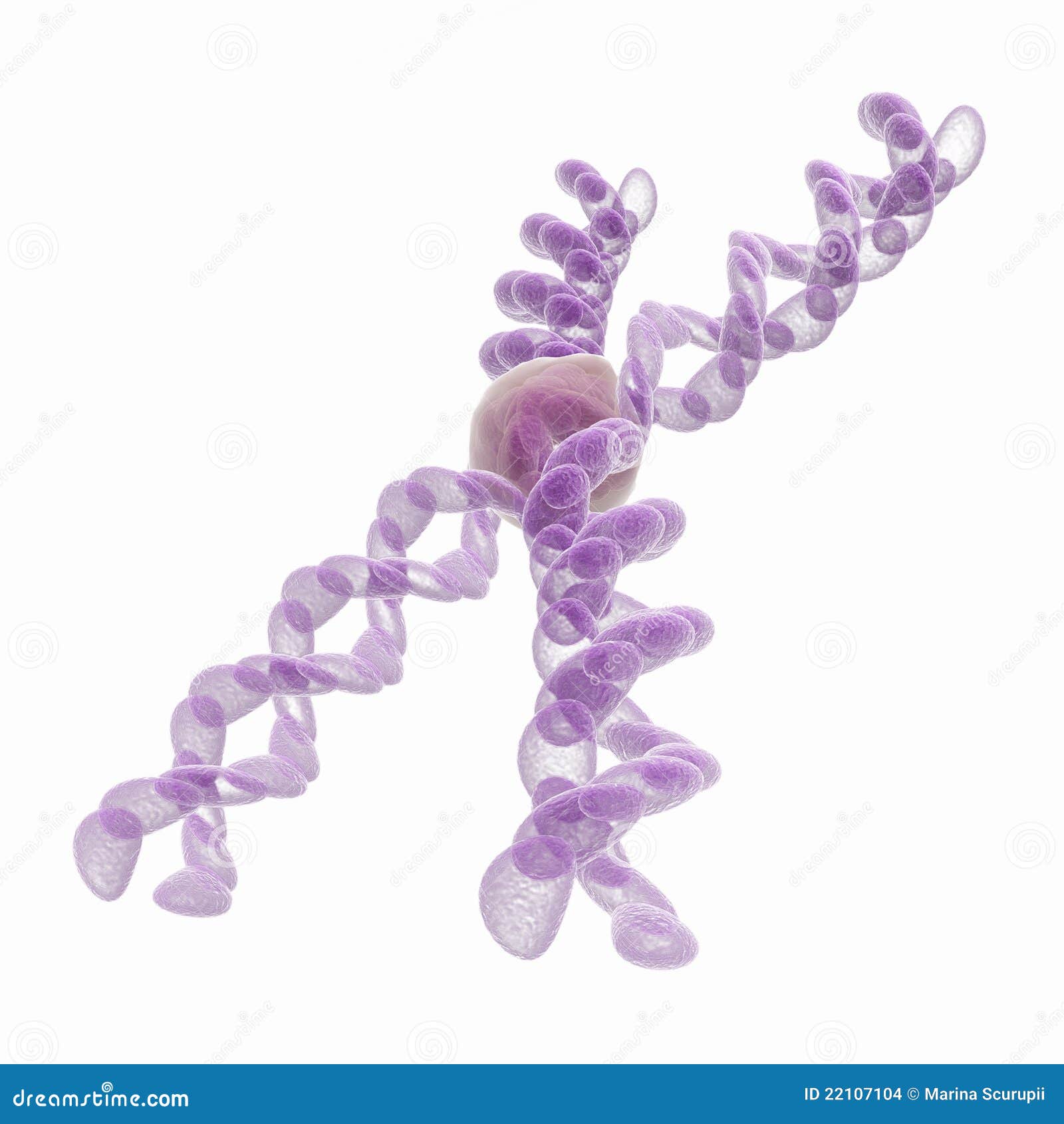 Cromossoma 3d ilustração stock. Ilustração de micro, surto - 22107104