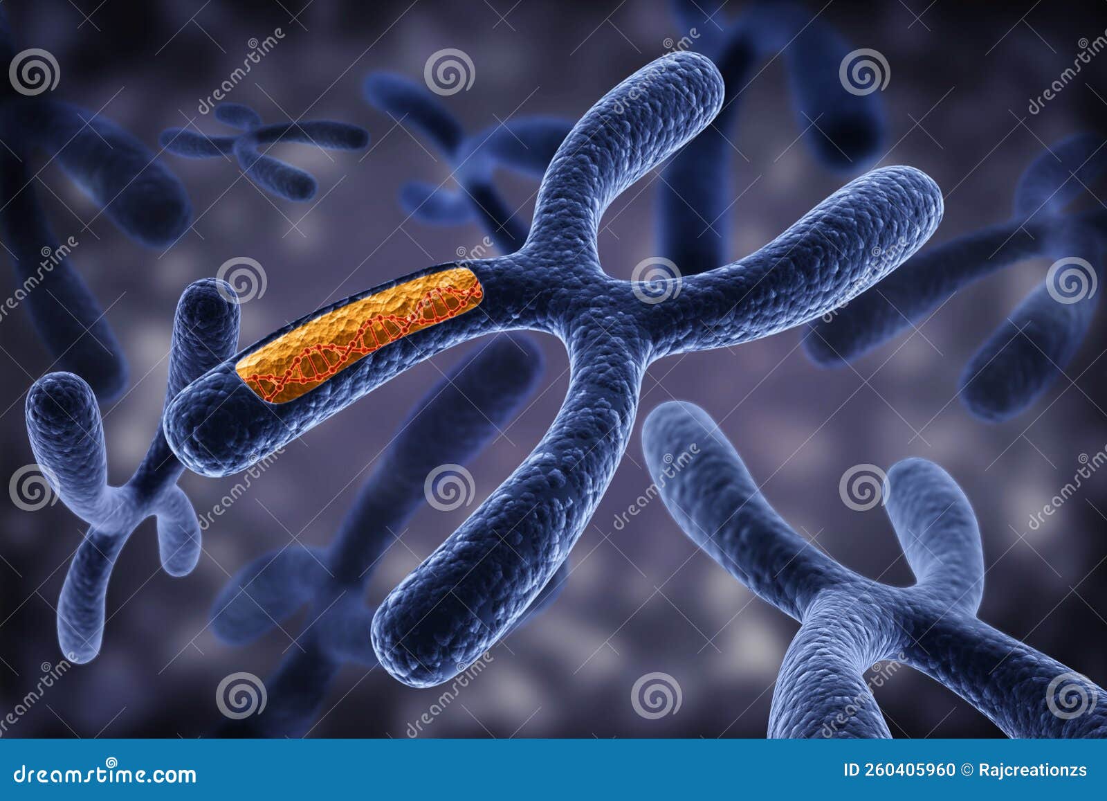 Cromossoma X 3d Renderizado Ilustração Stock - Ilustração de humano ...