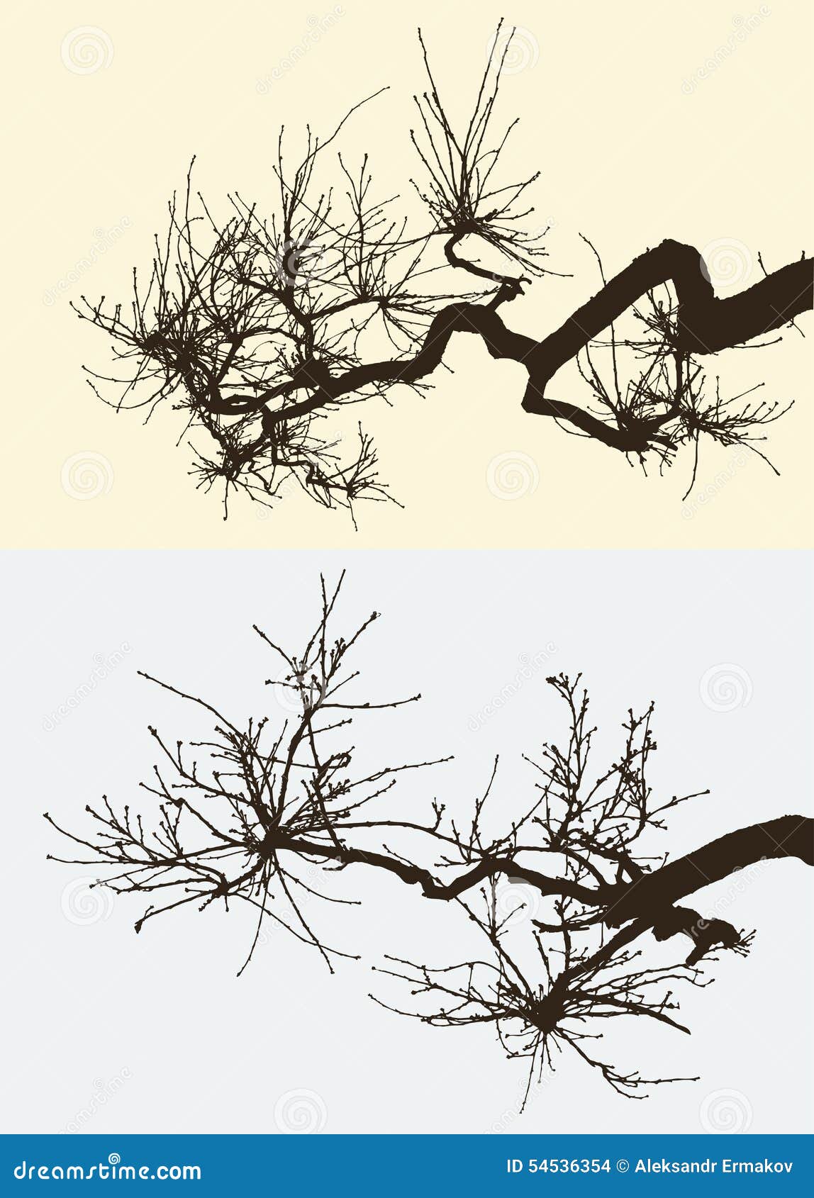 Crooked branches stock vector. Illustration of tree, sprigs - 54536354
