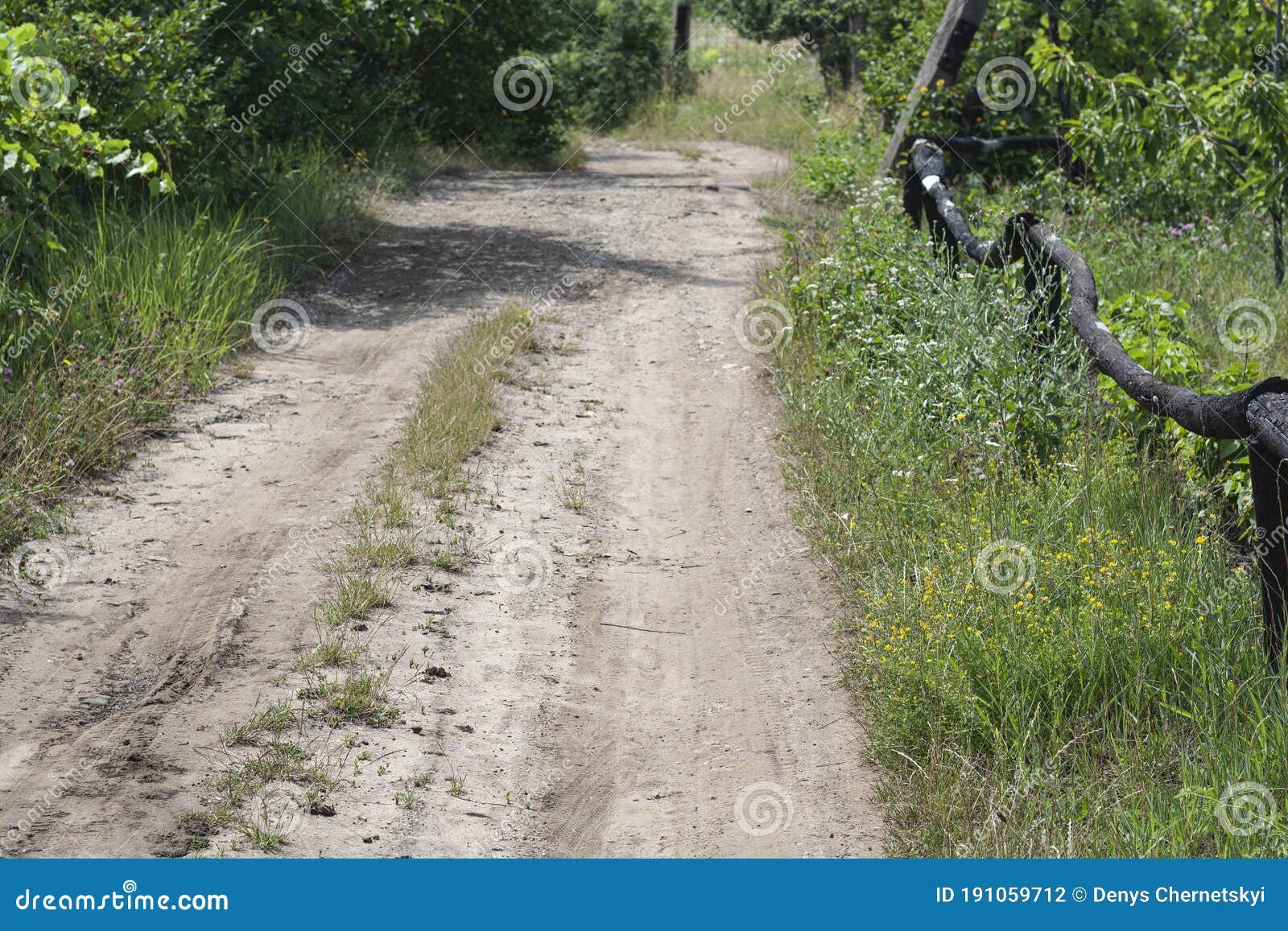 Crooked Road in the Village through Green Trees Stock Photo - Image of ...