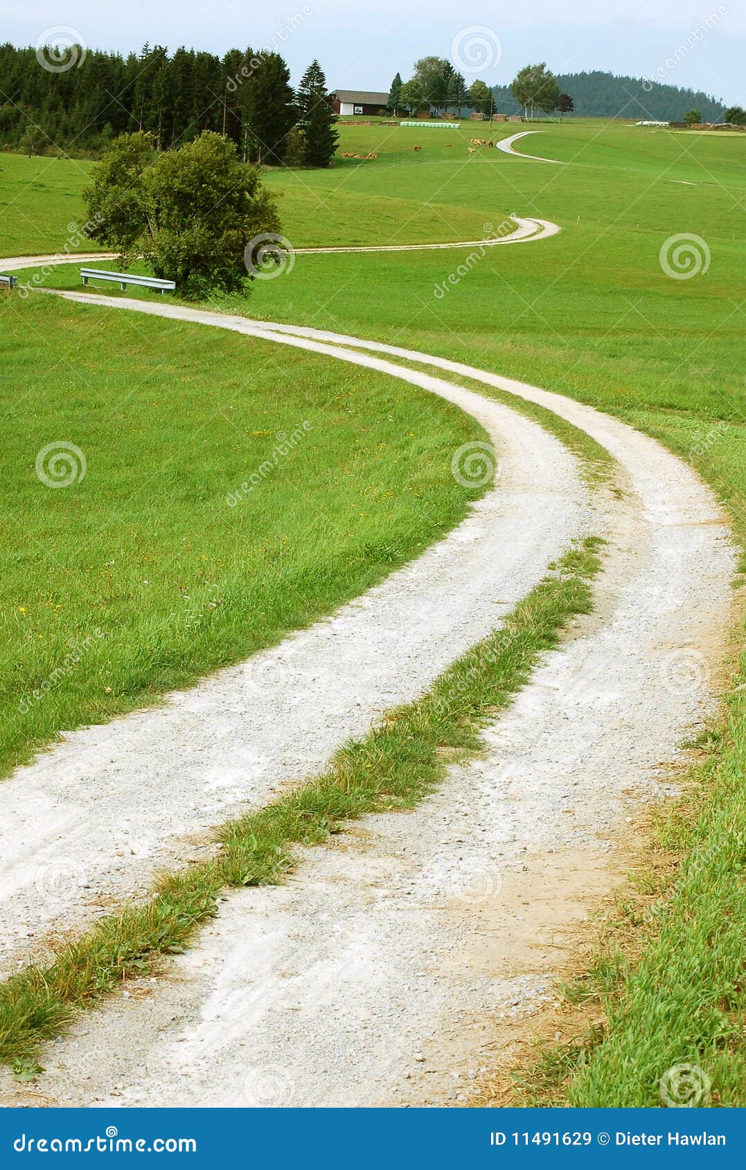 Crooked Rural Road stock image. Image of cloudy, colorful - 11491629
