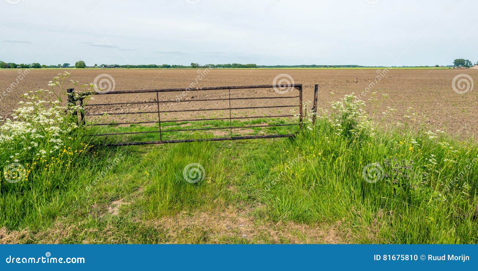 Crooked Rusty Gate in Front of a Plowed Field Stock Photo - Image of ...