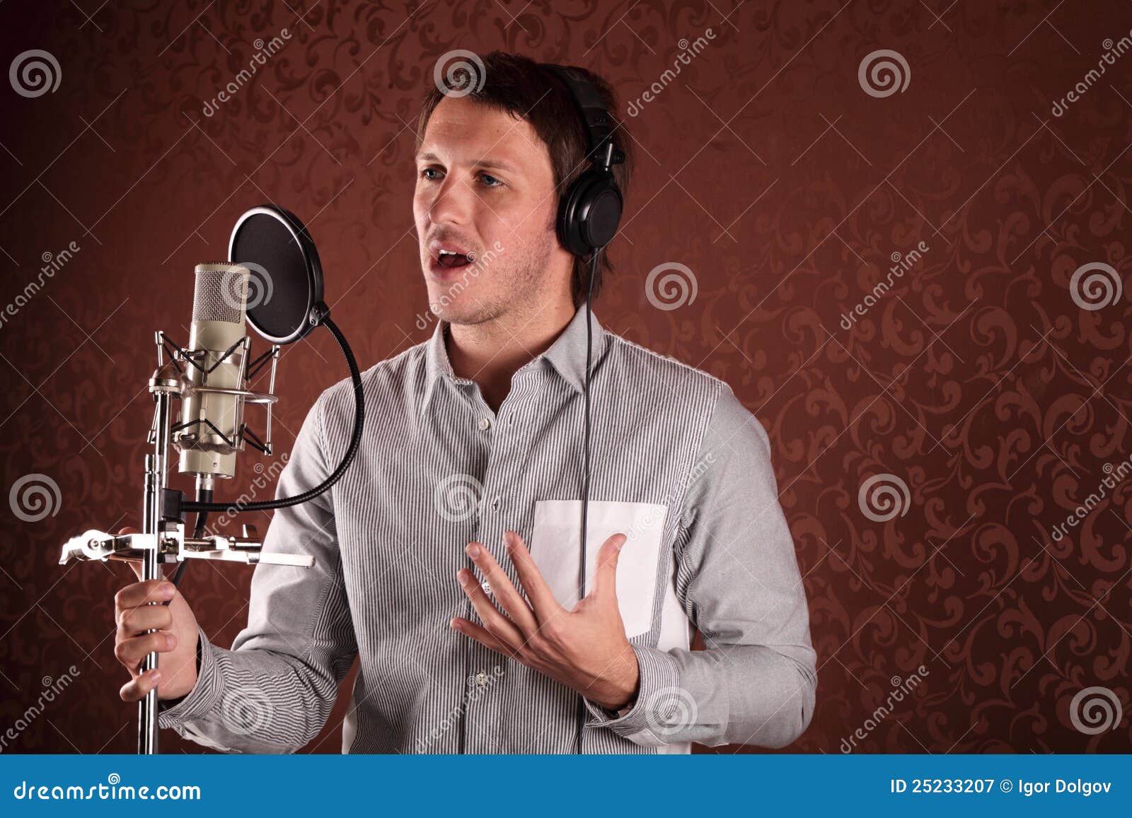 Crooner stock image. Image of classical, professional - 25233207