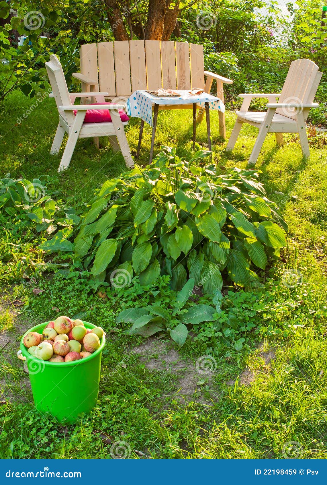Crop of apples stock image. Image of crops, green, sunlight - 22198459