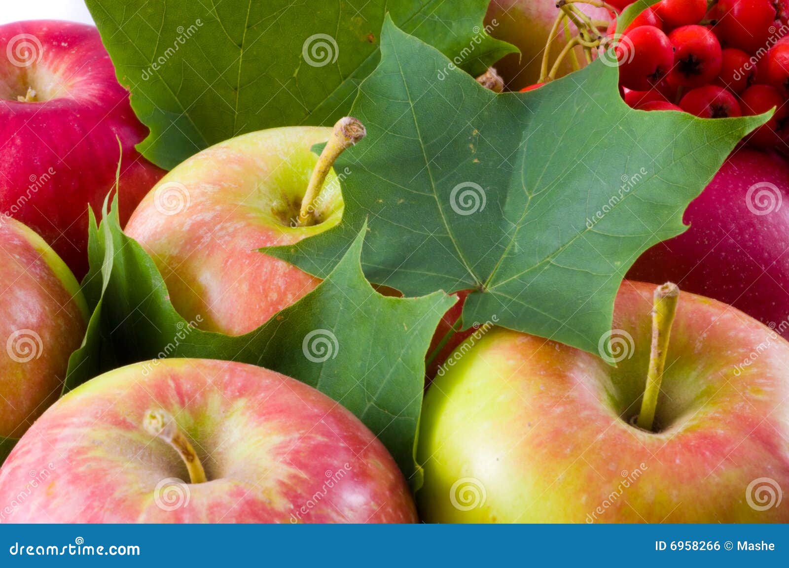 Crop of apples stock photo. Image of backgrounds, kiosk - 6958266