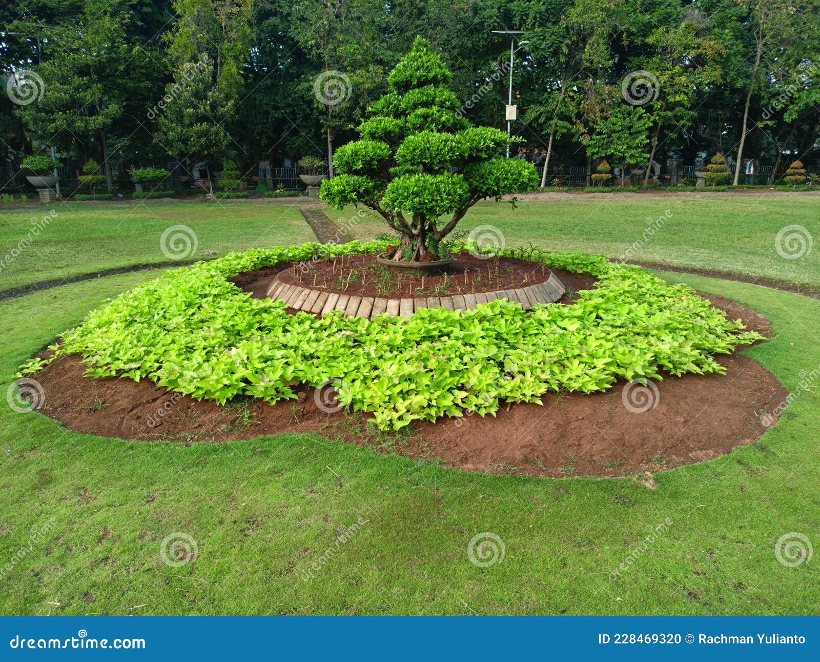 Crop Art with Circle Shape and One Small Tree Beautifully Manicured ...