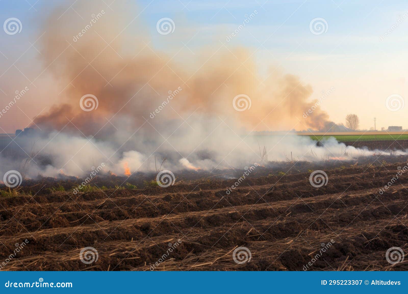 Crop Burning in an Agricultural Field Creating Smoke Stock Image ...