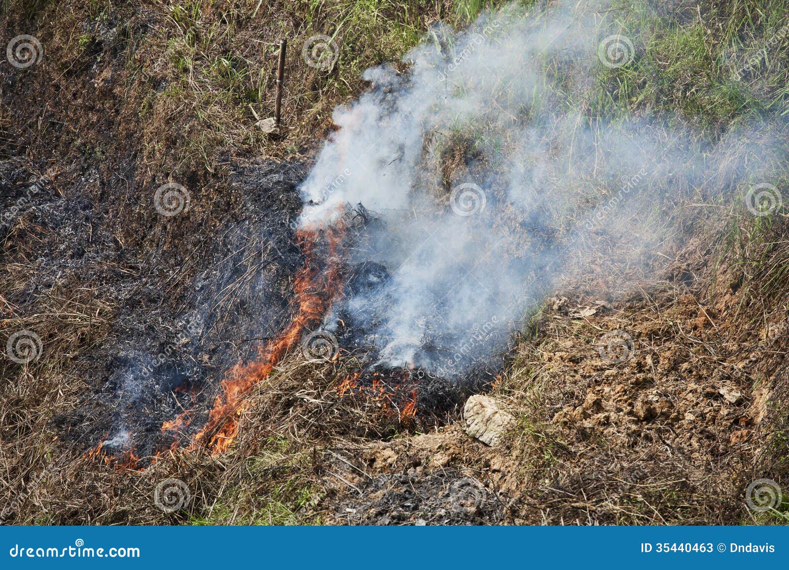 Crop Burning in the Rice Fields of Southern China Stock Image - Image ...