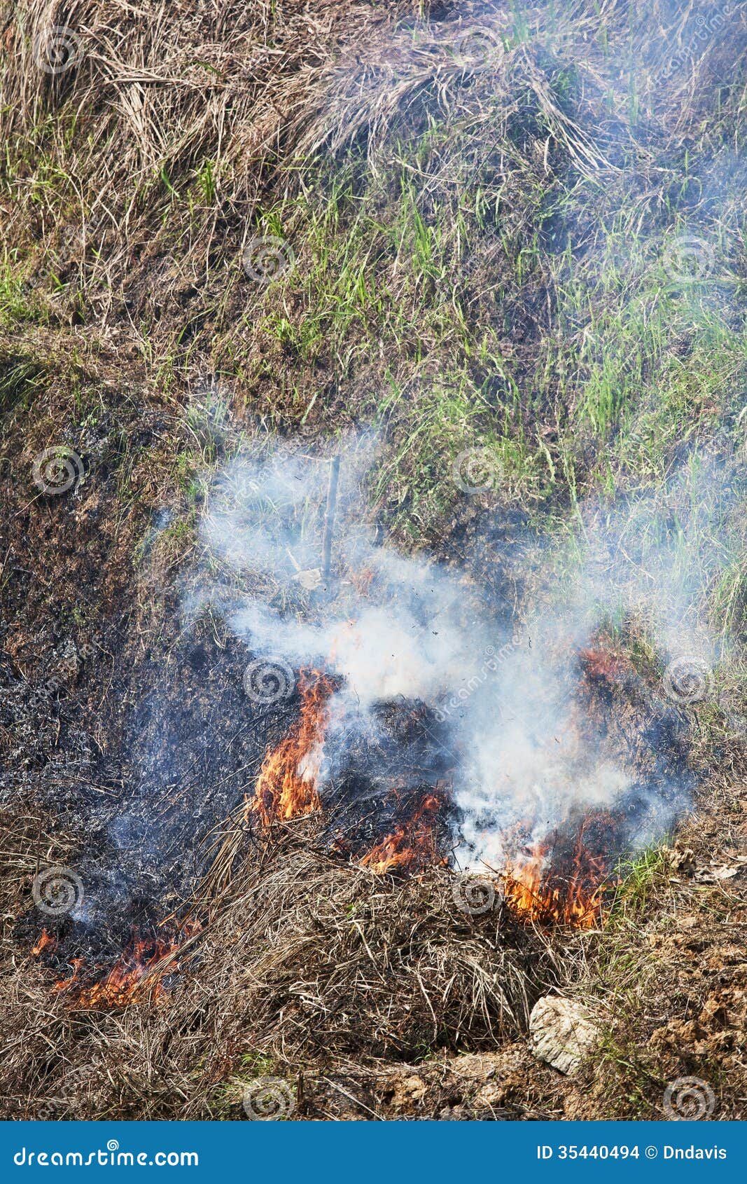 Crop Burning in the Rice Fields of Southern China Stock Photo - Image ...