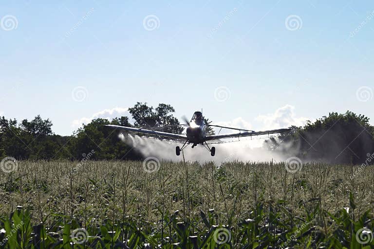 Crop Dusting Aircraft on Corn Field Stock Photo - Image of farm, engine ...
