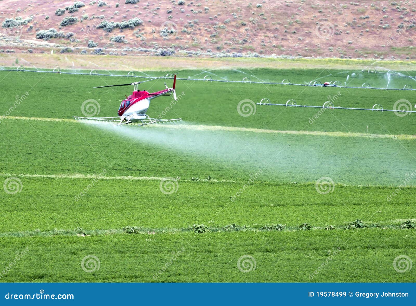 Crop Dusting by Helicopter. Stock Image - Image of farm, machinery ...