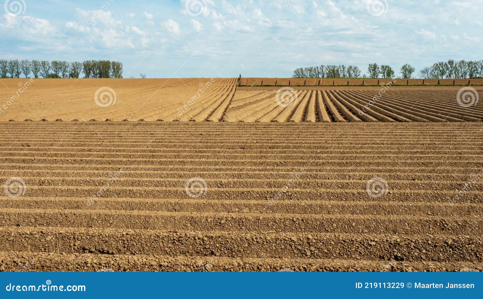 Crop field stock image. Image of field, crop, agricultural - 219113229