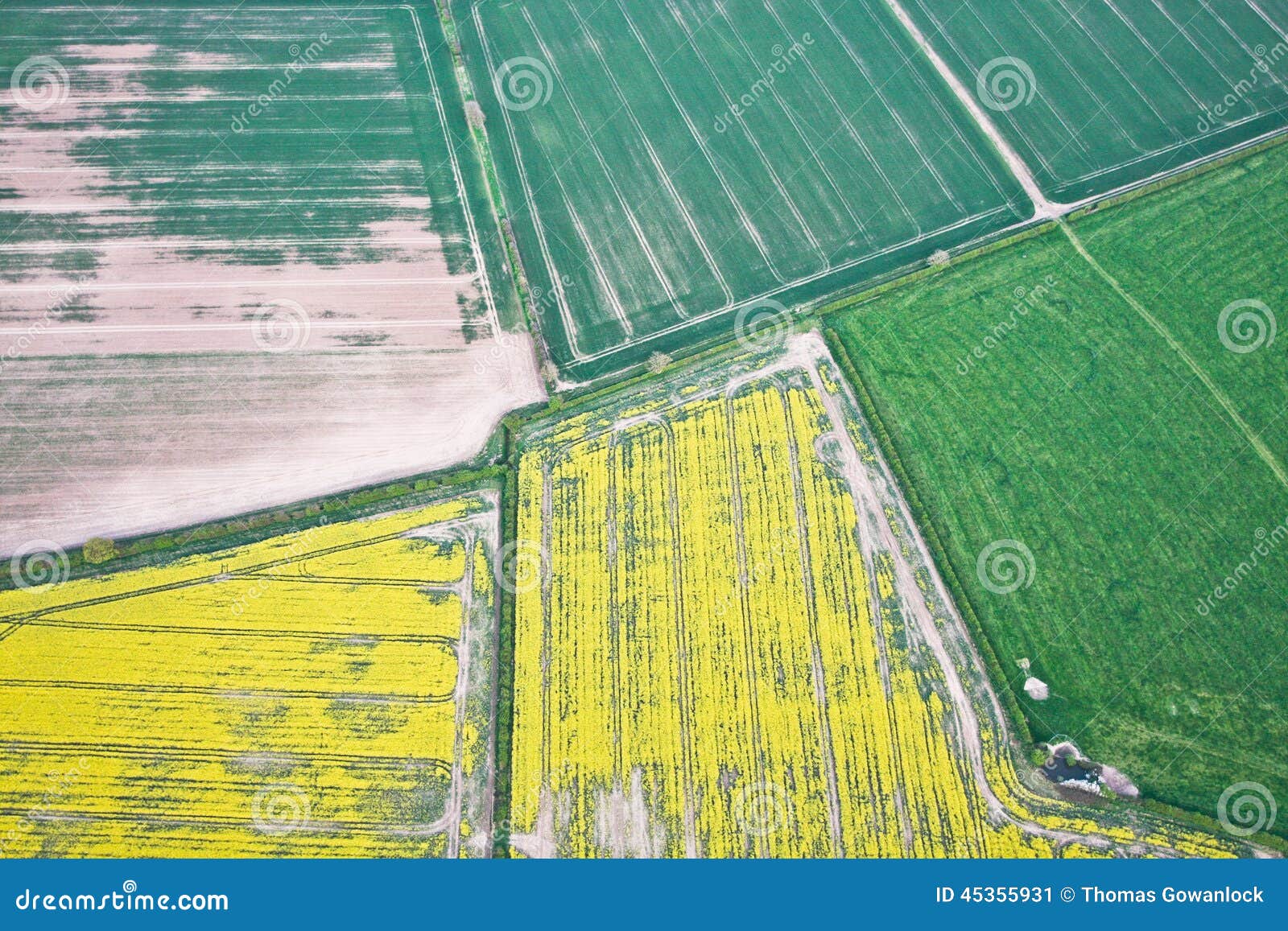 Crop fields stock image. Image of landscape, estate, agricultural ...