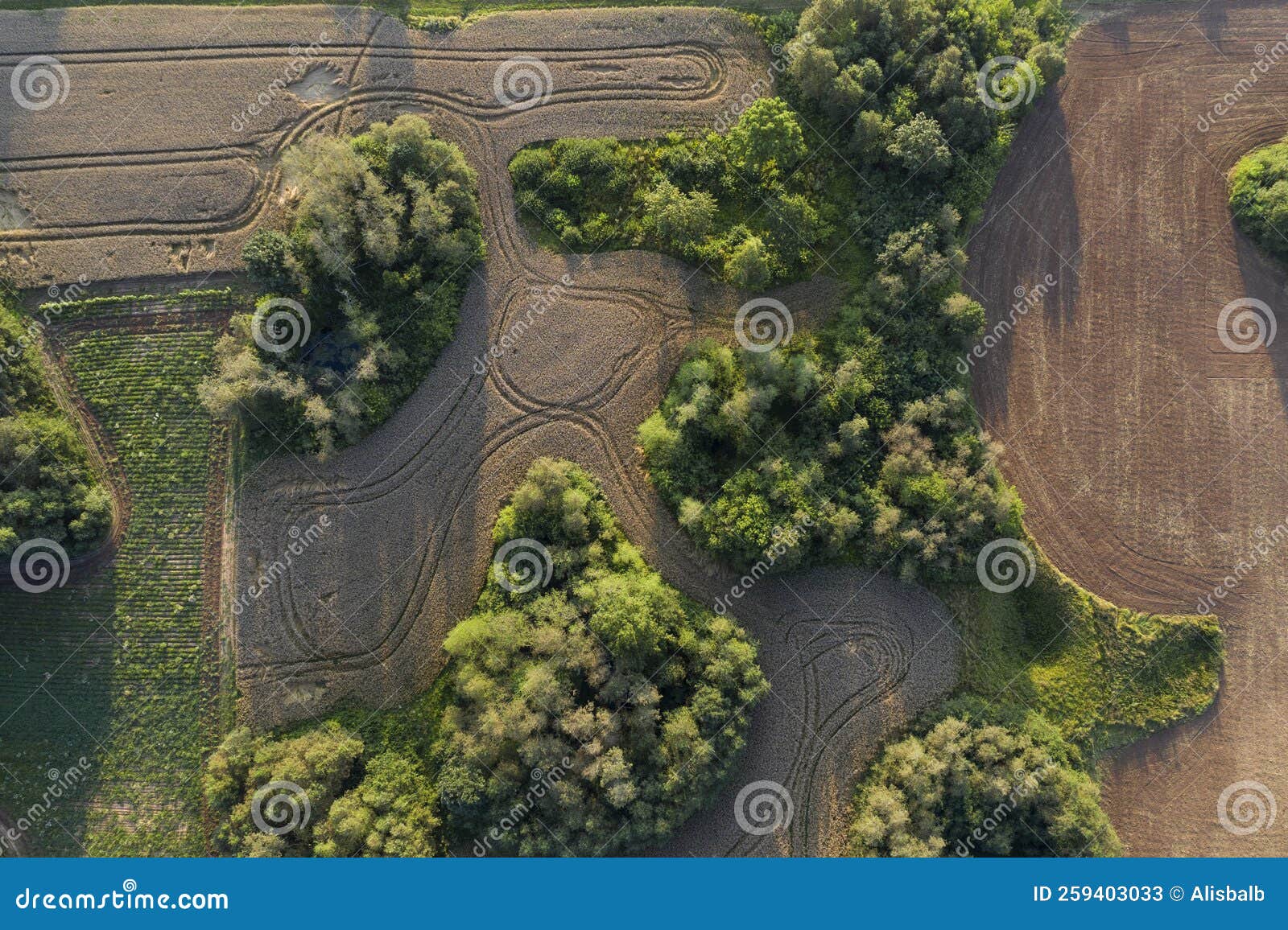 Crop Fields and Groves in Nature Park, Aerial View Stock Image - Image ...