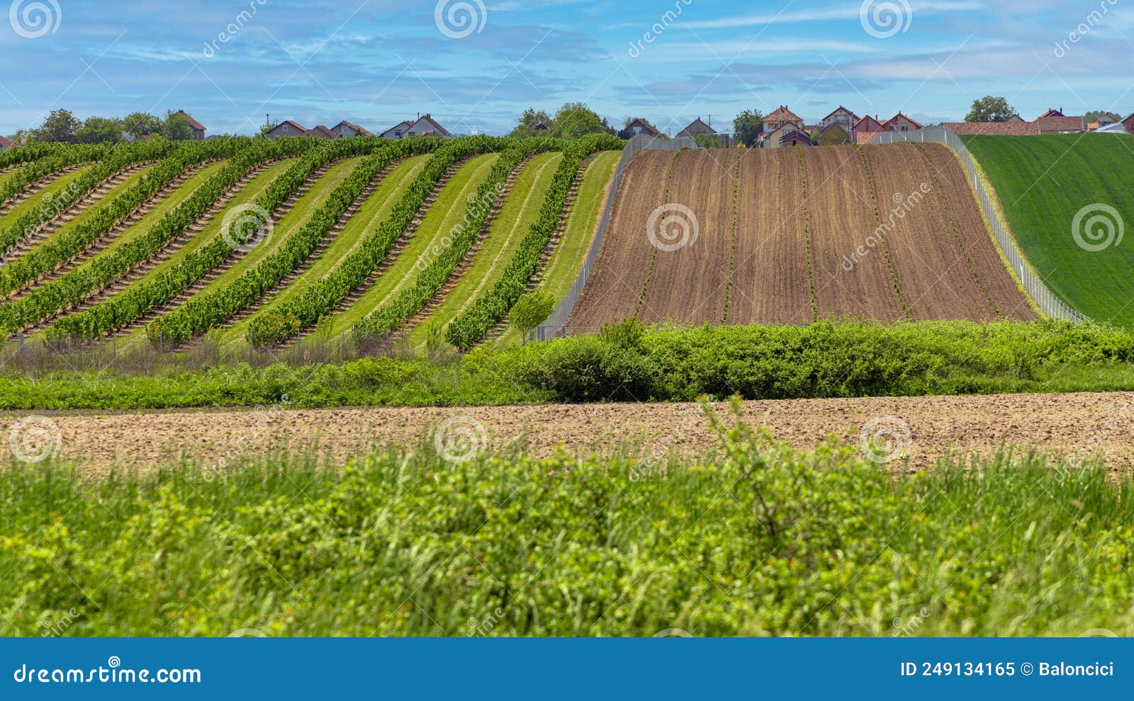 Crop Fields Hill stock image. Image of country, crops - 249134165