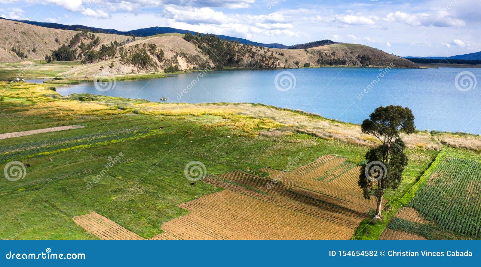 Crop Fields in the Peruvian Andes Paca Lake in Junin Stock Photo ...