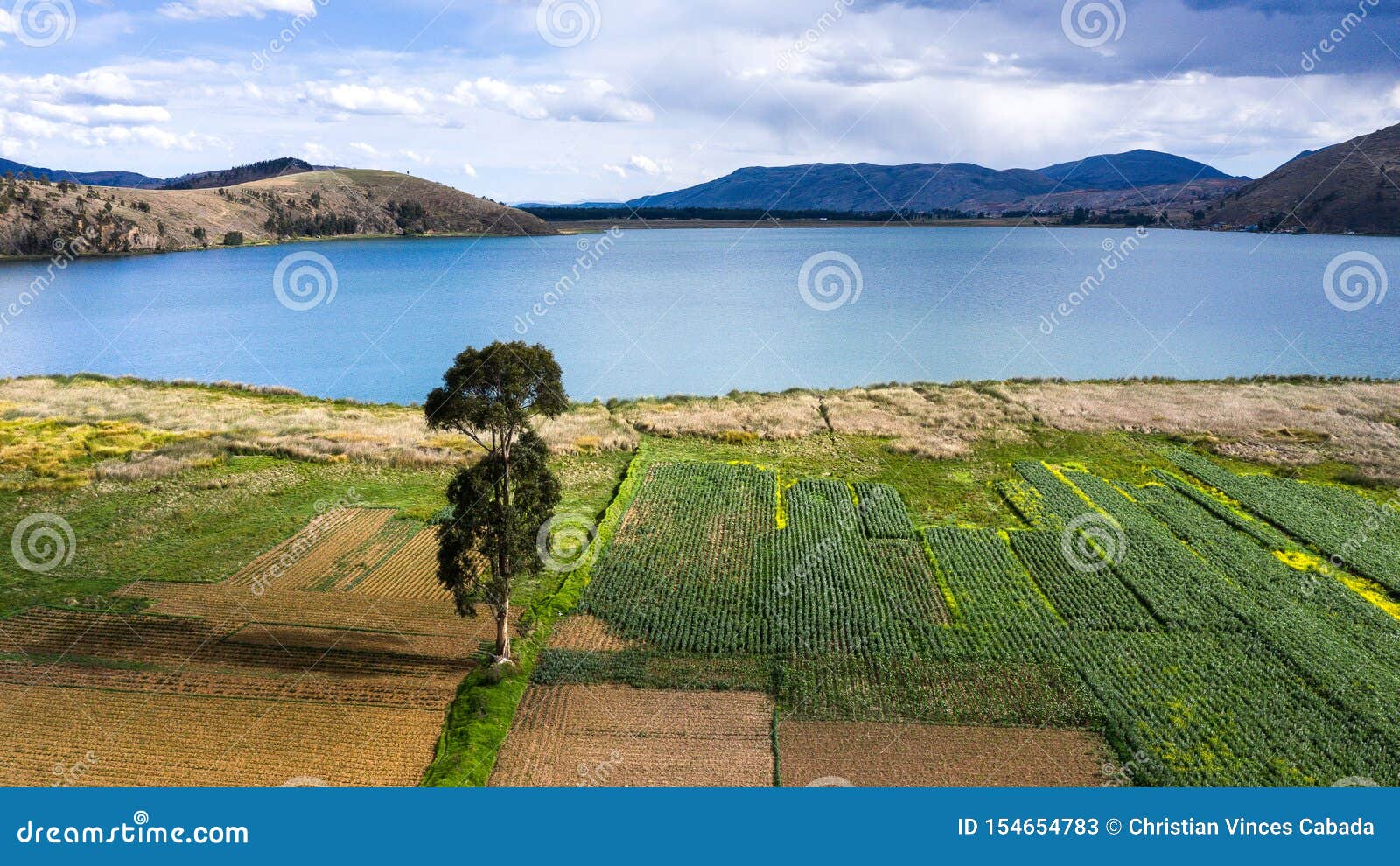 Crop Fields in the Peruvian Andes Paca Lake in Junin Stock Image ...
