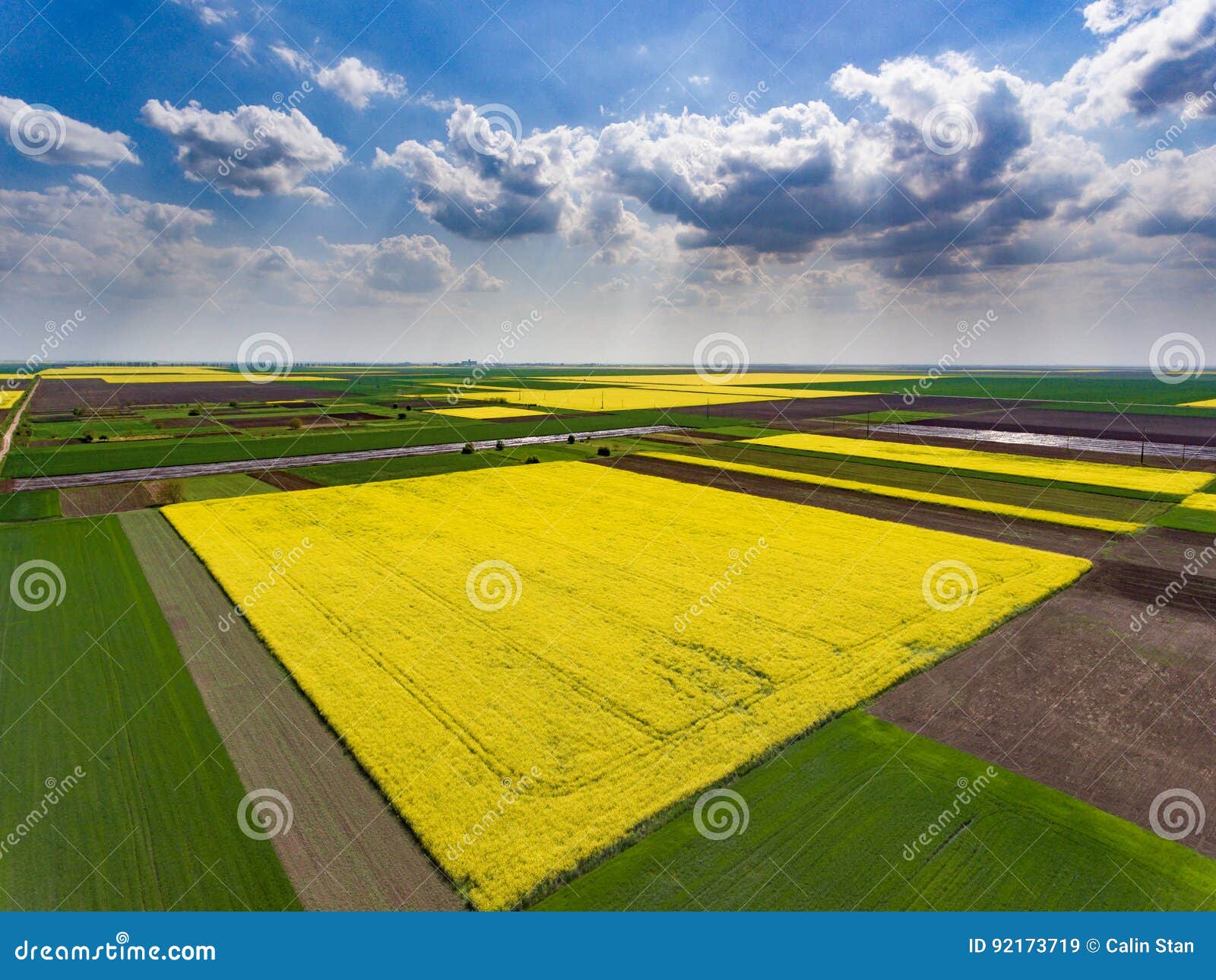 Crop Fields with Soybean. Aerial View Stock Image - Image of grain ...