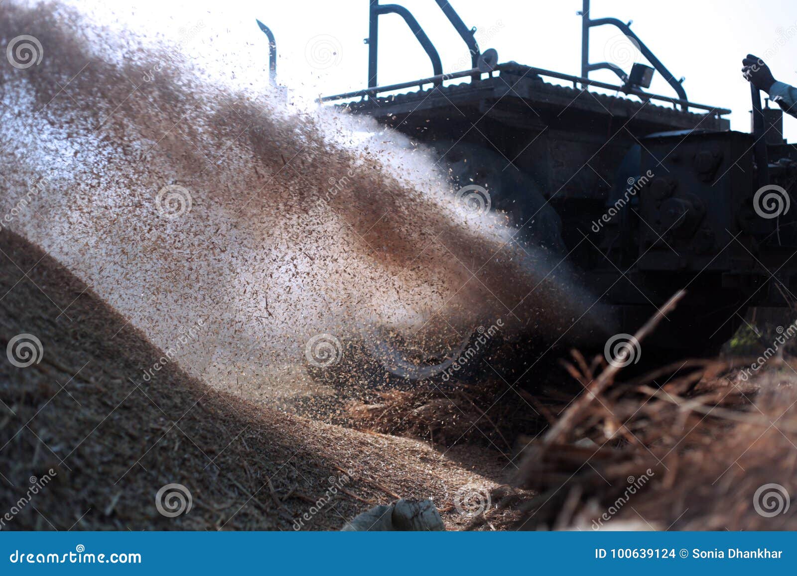 Crop harvesting process stock photo. Image of crop, culture - 100639124