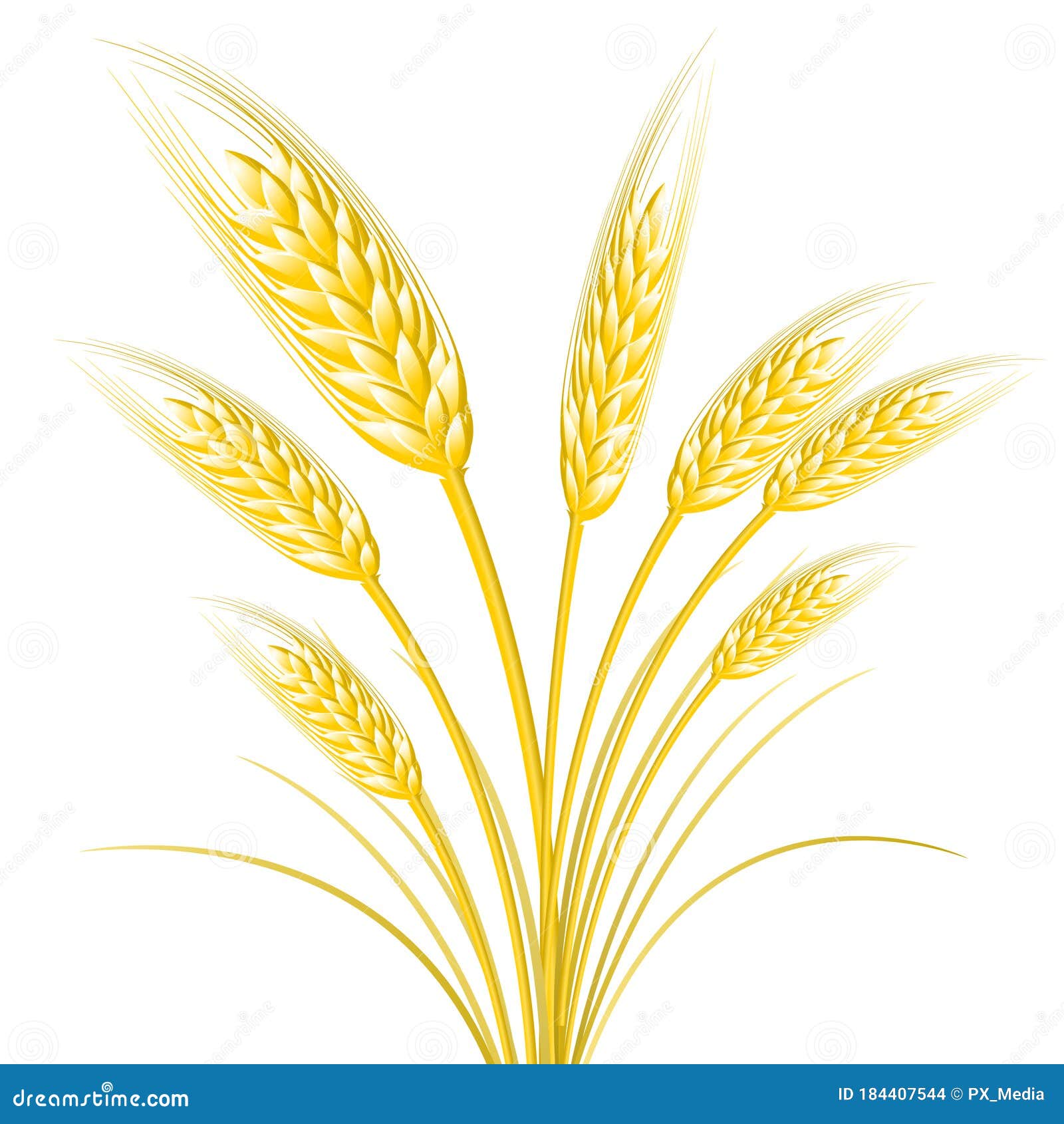 Crops Illustration - Isolated on White Background Stock Illustration ...