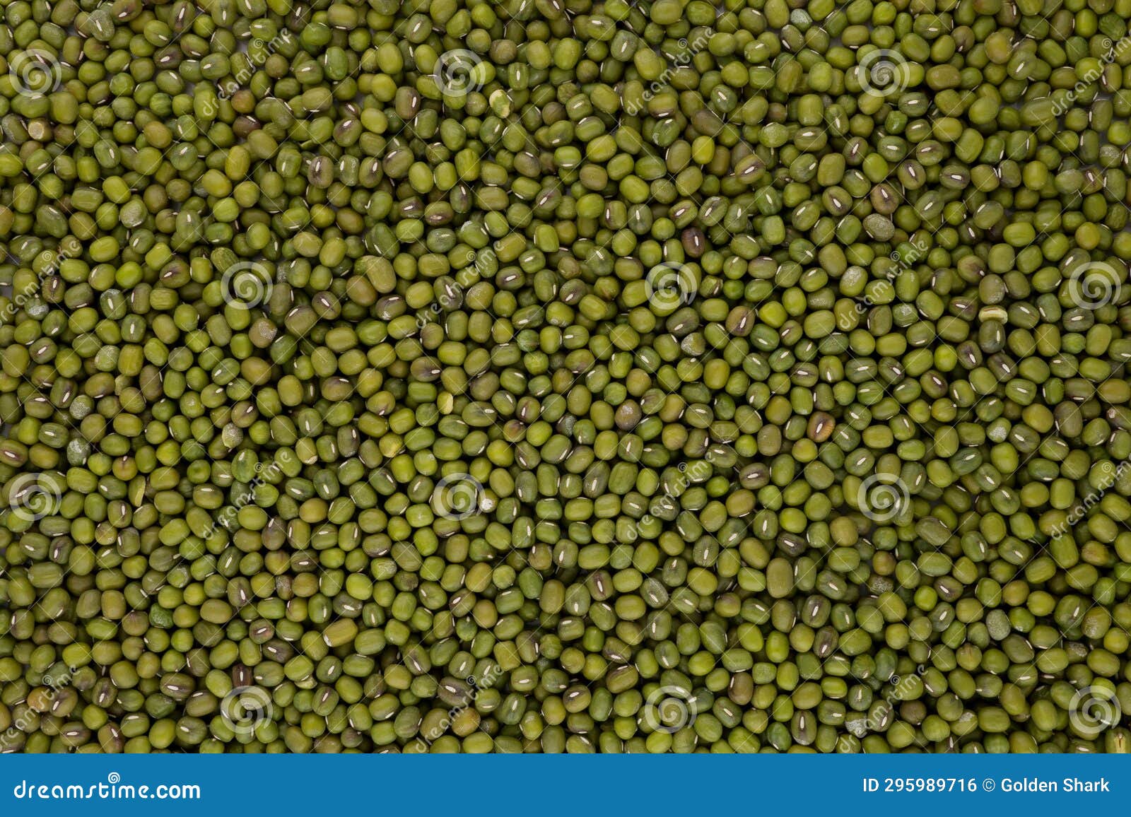 Crop of Many Dry Green Lentil Grains on Flat Surface As Background ...