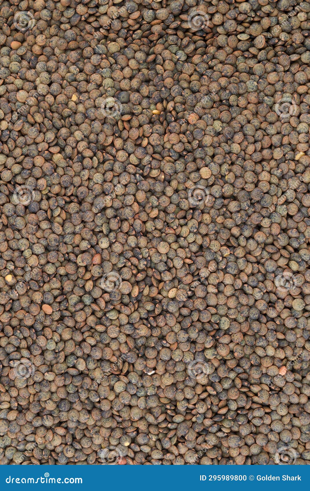 Crop of Many Dry Green Lentil Grains on Flat Surface As Background ...