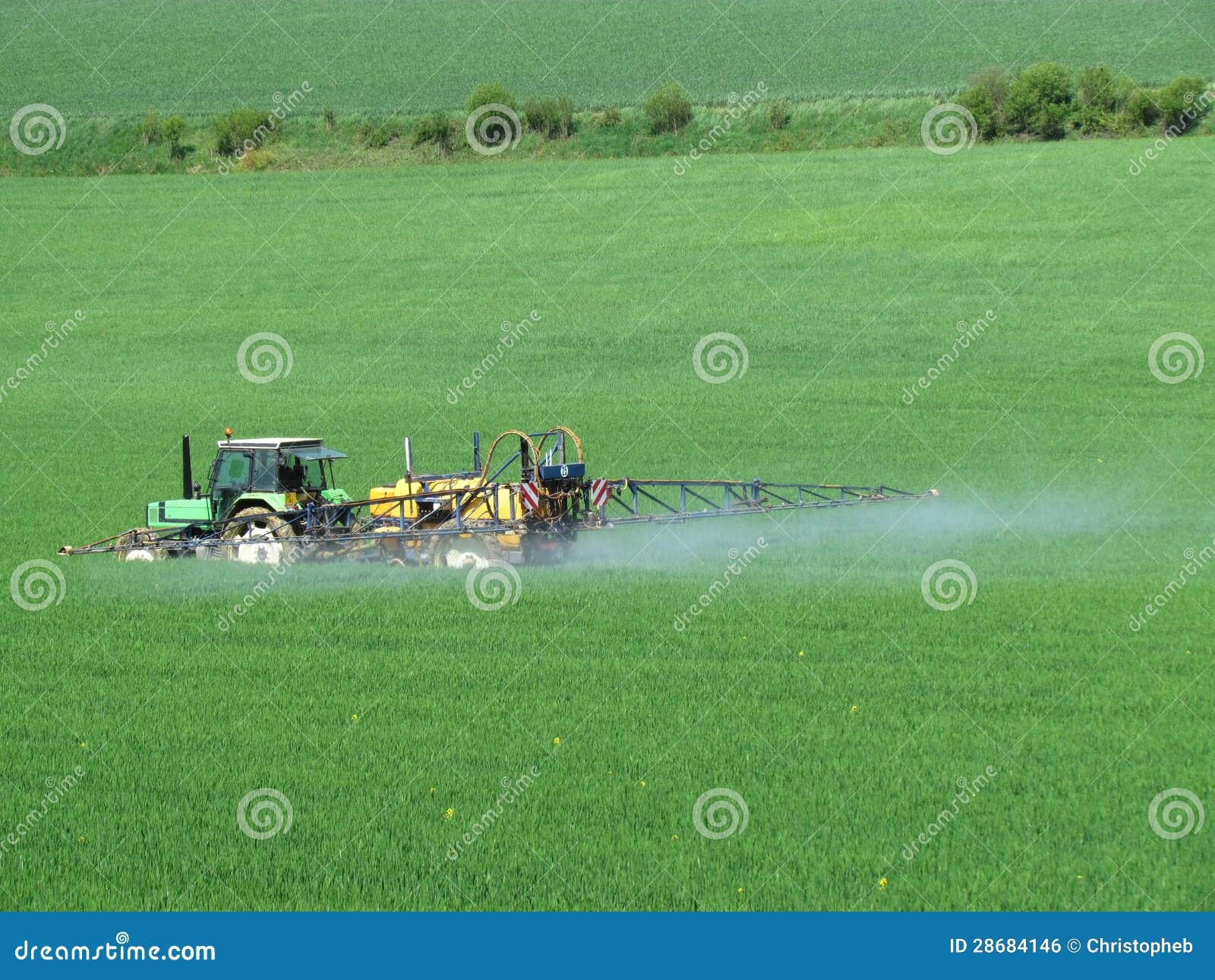 Crop protection stock photo. Image of forest, plain, cereals - 28684146