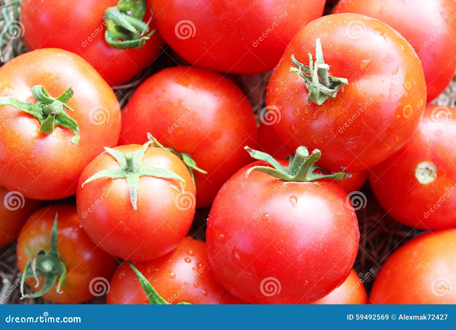 Crop of red ripe tomatoes stock image. Image of agriculture - 59492569