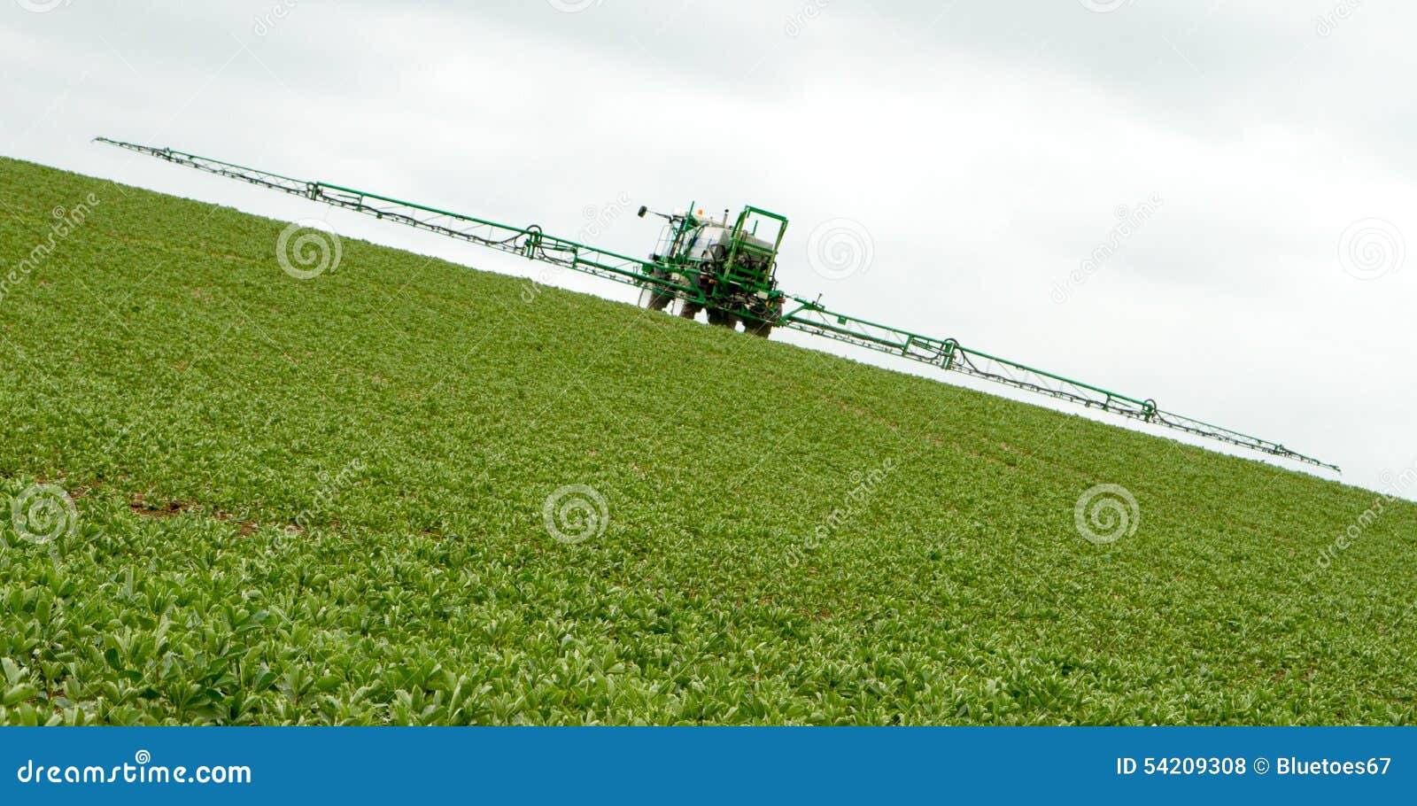 Crop Spraying in field editorial stock photo. Image of arms - 54209308