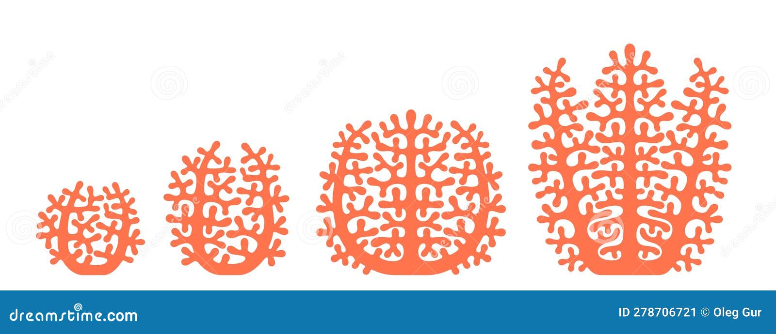 Crop Stages of Coral. Isolated Coral on White Background Stock Vector ...
