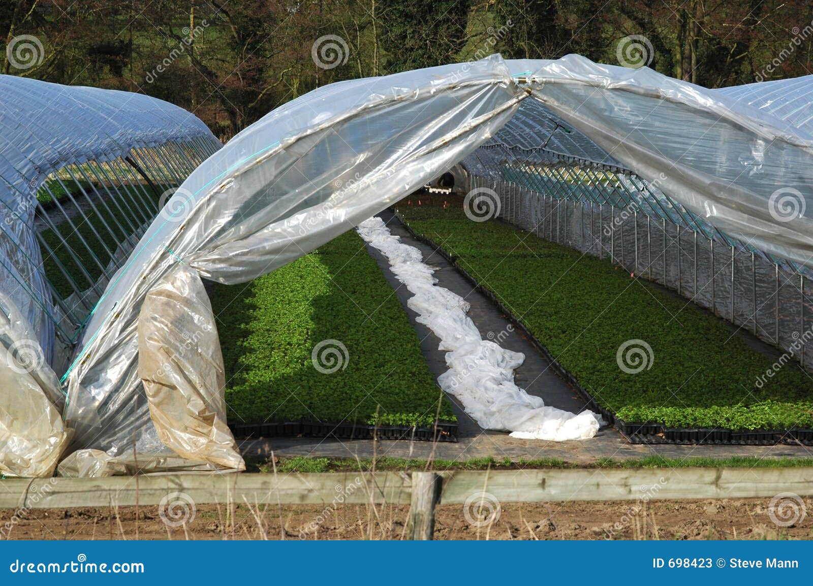 Crop tunnel 1 stock image. Image of produce, fruit, farm - 698423