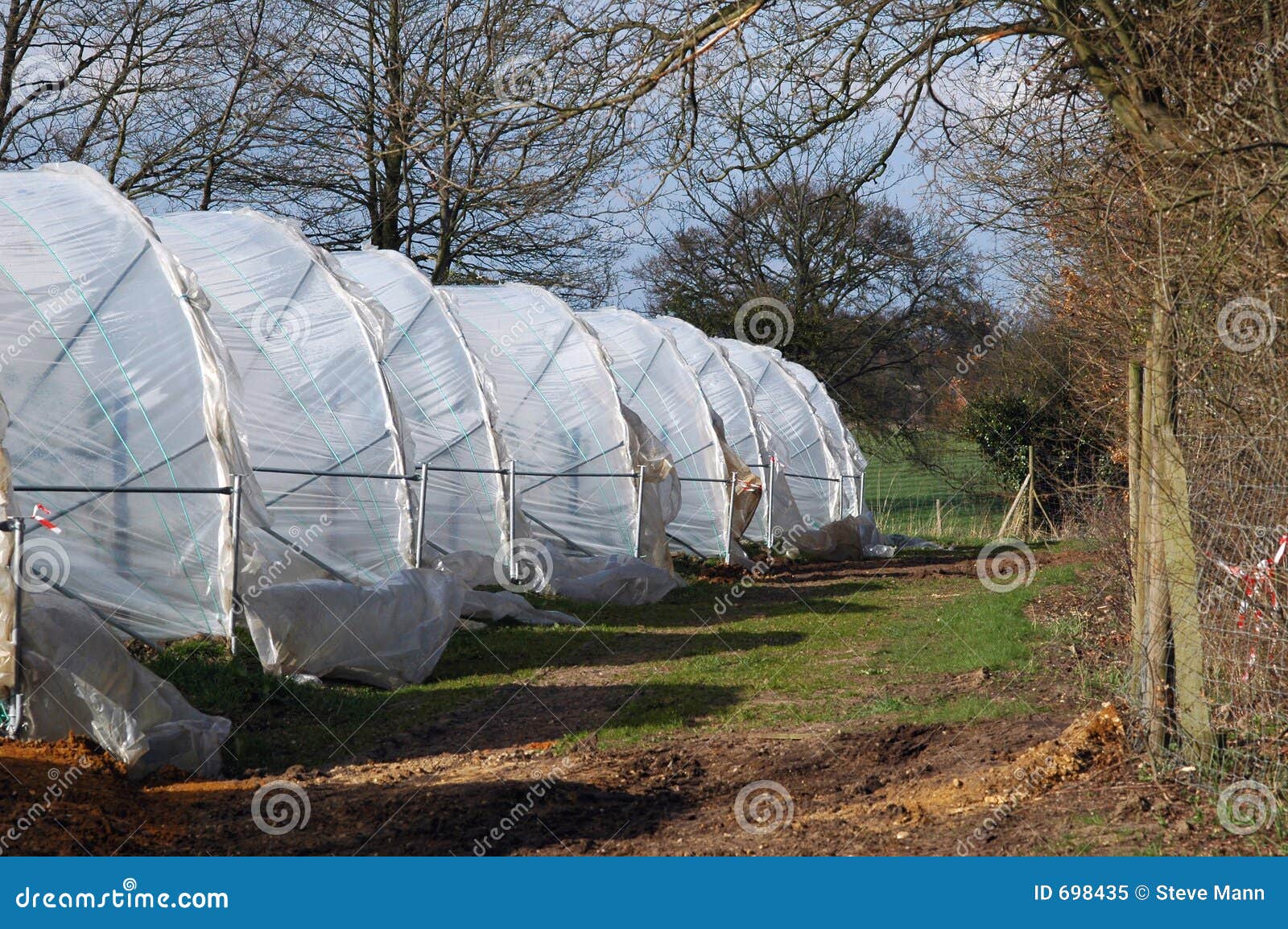 Crop tunnel 2 stock image. Image of agriculture, fruit - 698435
