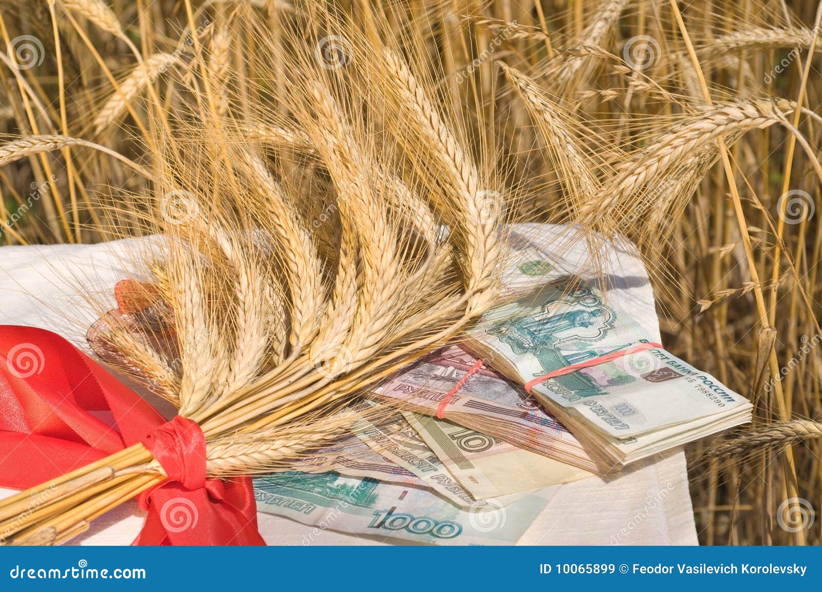 Crop Of Wheat And Money. Picture Image: 10065899