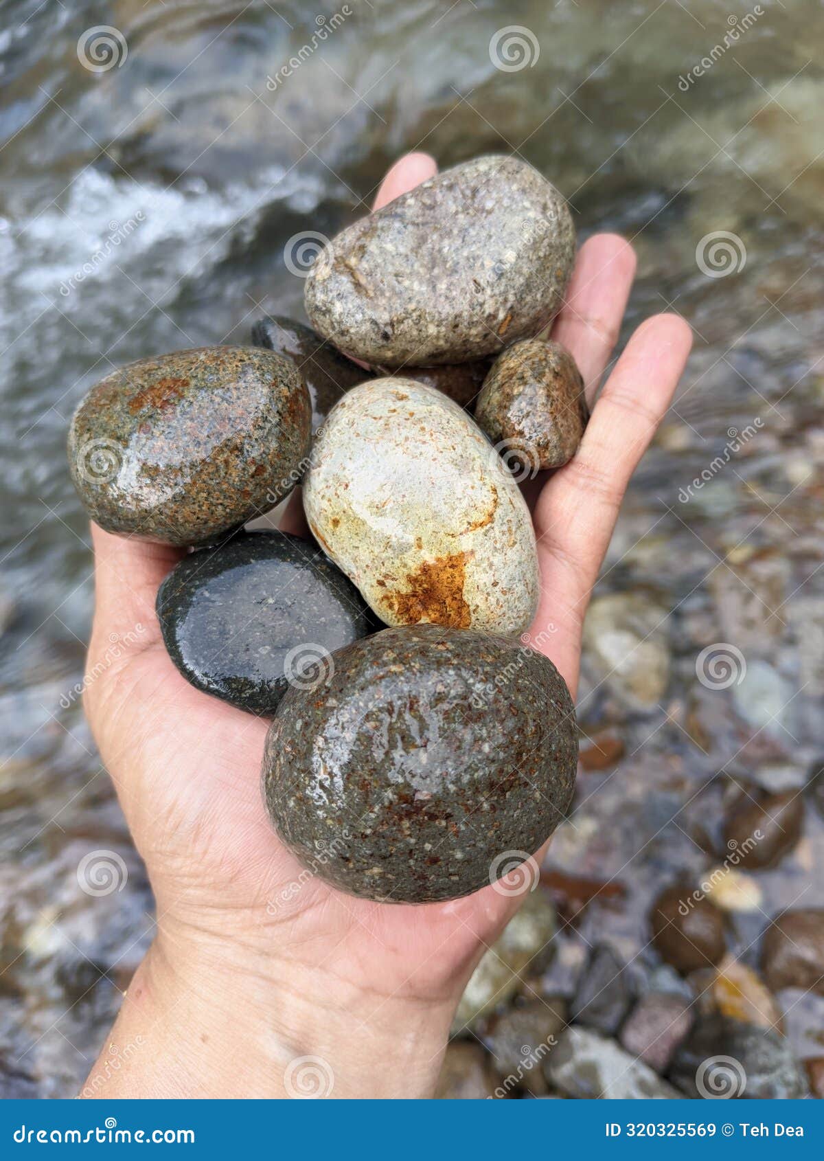 Croping Hand Holding Rock with River View Stock Image - Image of view ...