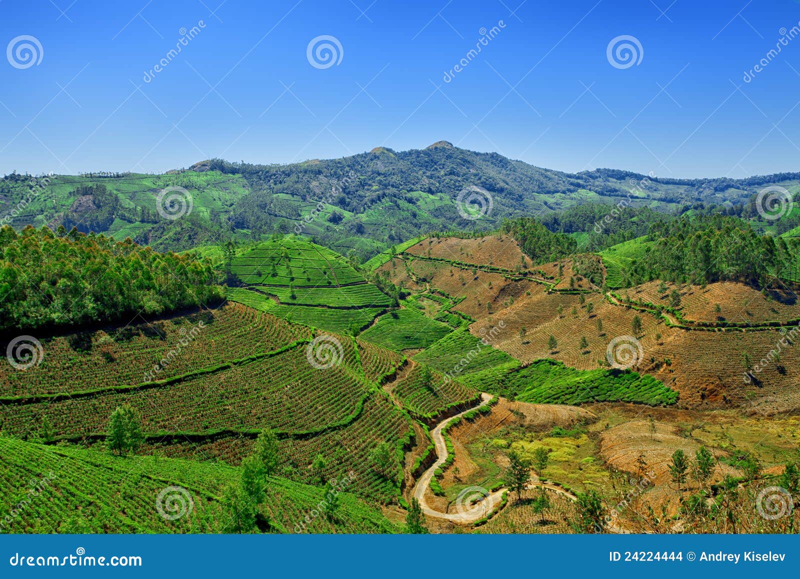 Cropland stock photo. Image of asian, highlands, crop - 24224444