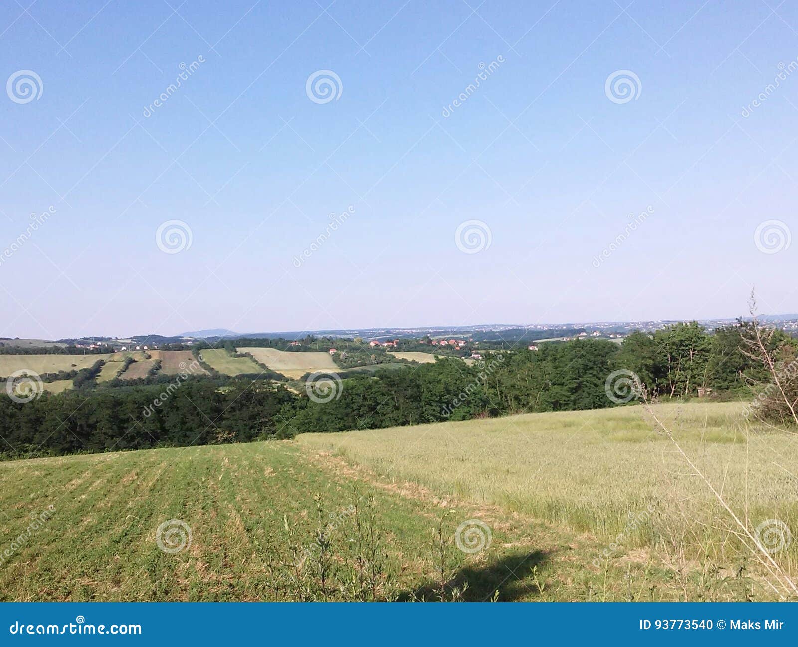 Cropland stock photo. Image of tree, hills, landscapes - 93773540