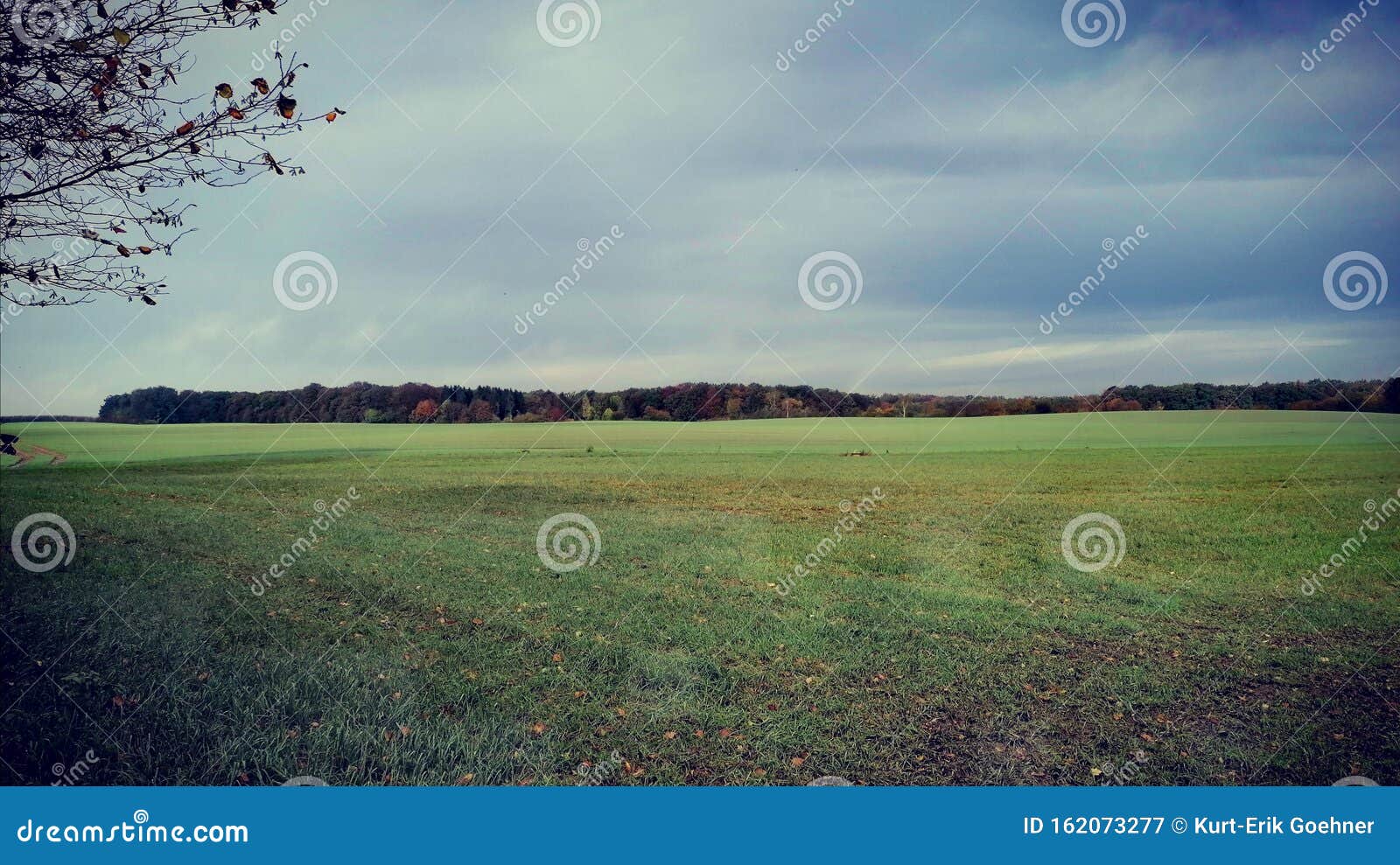 Cropland with sky stock image. Image of cropland, green - 162073277