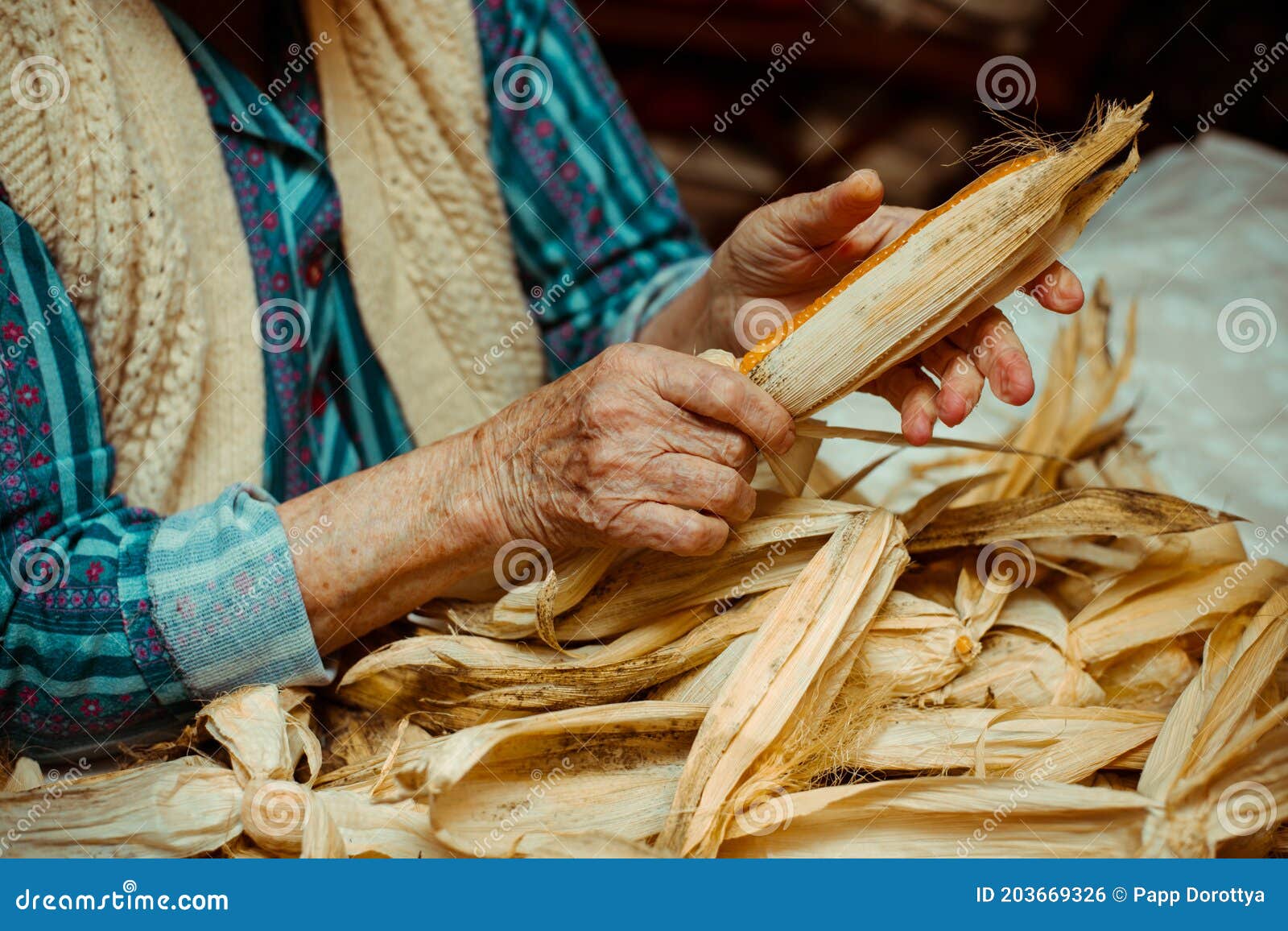 Cropped Image of an Old Lady Peeling and Selecting with Hands Corn on a ...