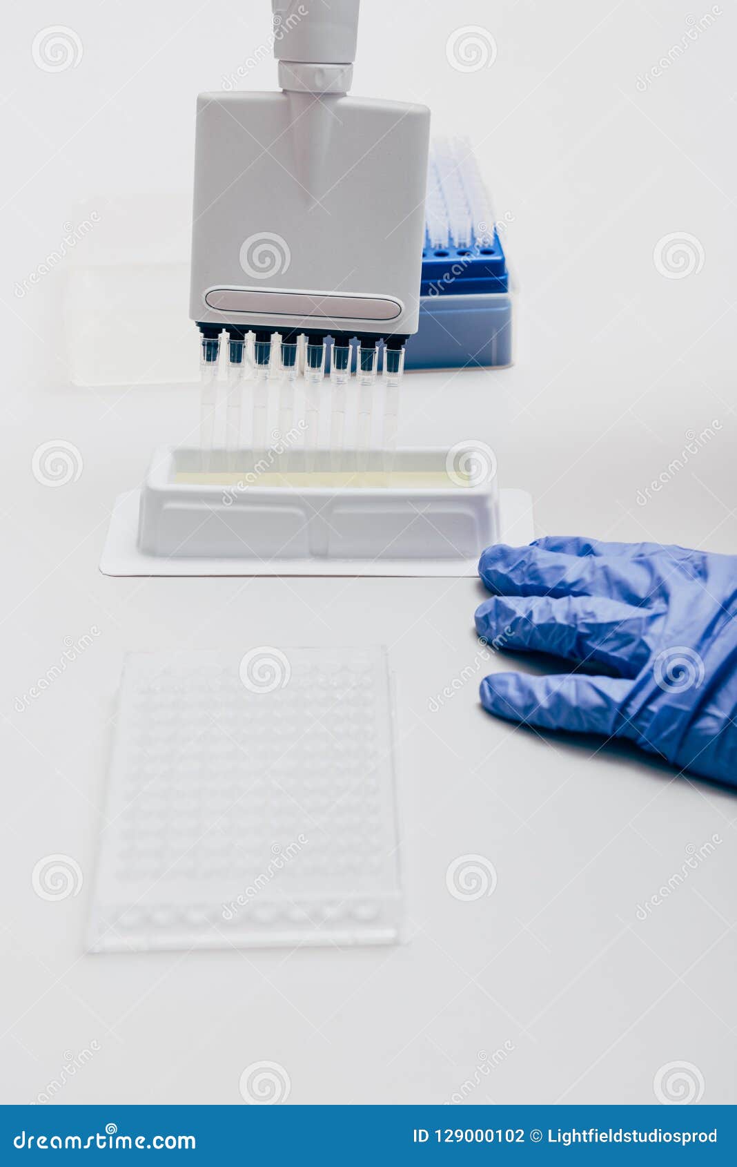 Cropped Image of Scientist Using Multichannel Pipette at Working Table ...