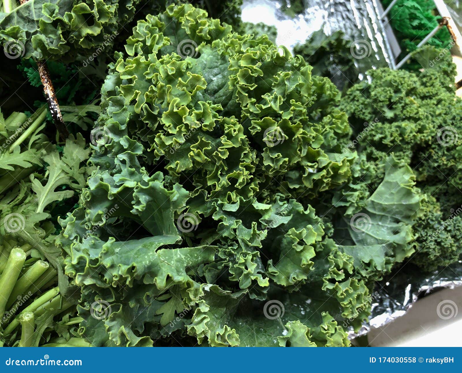 Fresh Cabbage at the Fresh Produce Section in a Grocery Store Stock ...