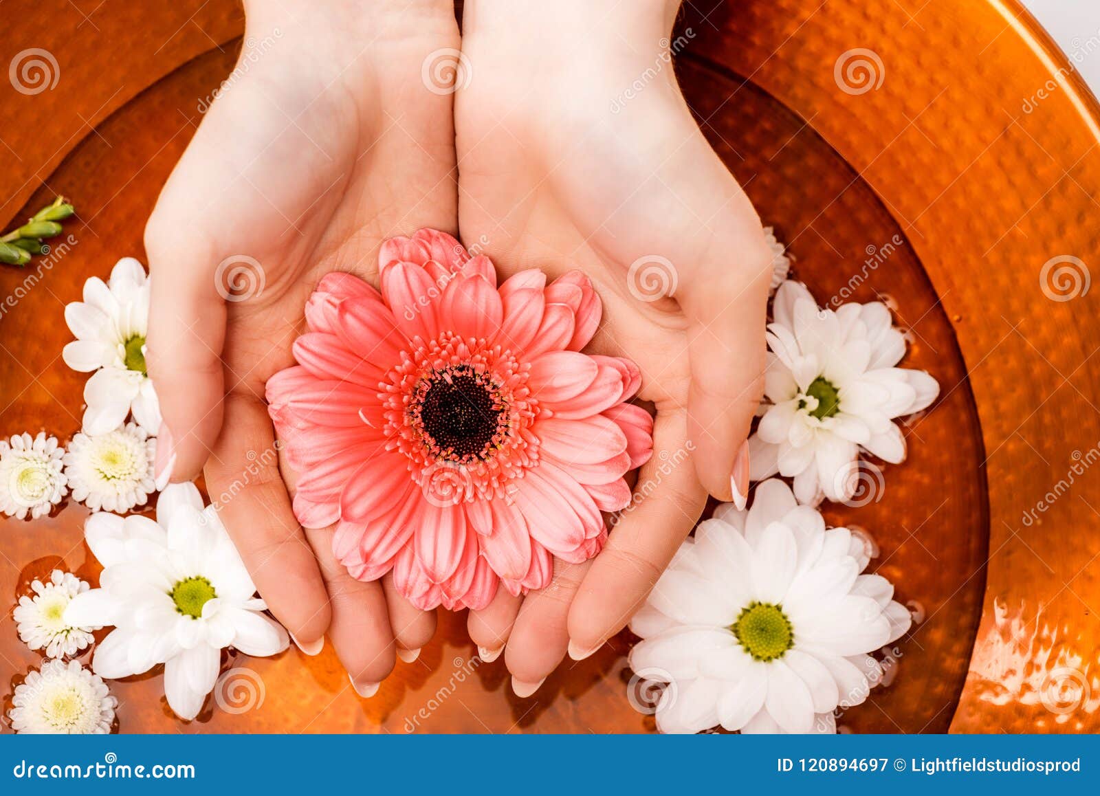 Cropped View of Woman Making Spa Bath with Flowers Stock Image - Image ...