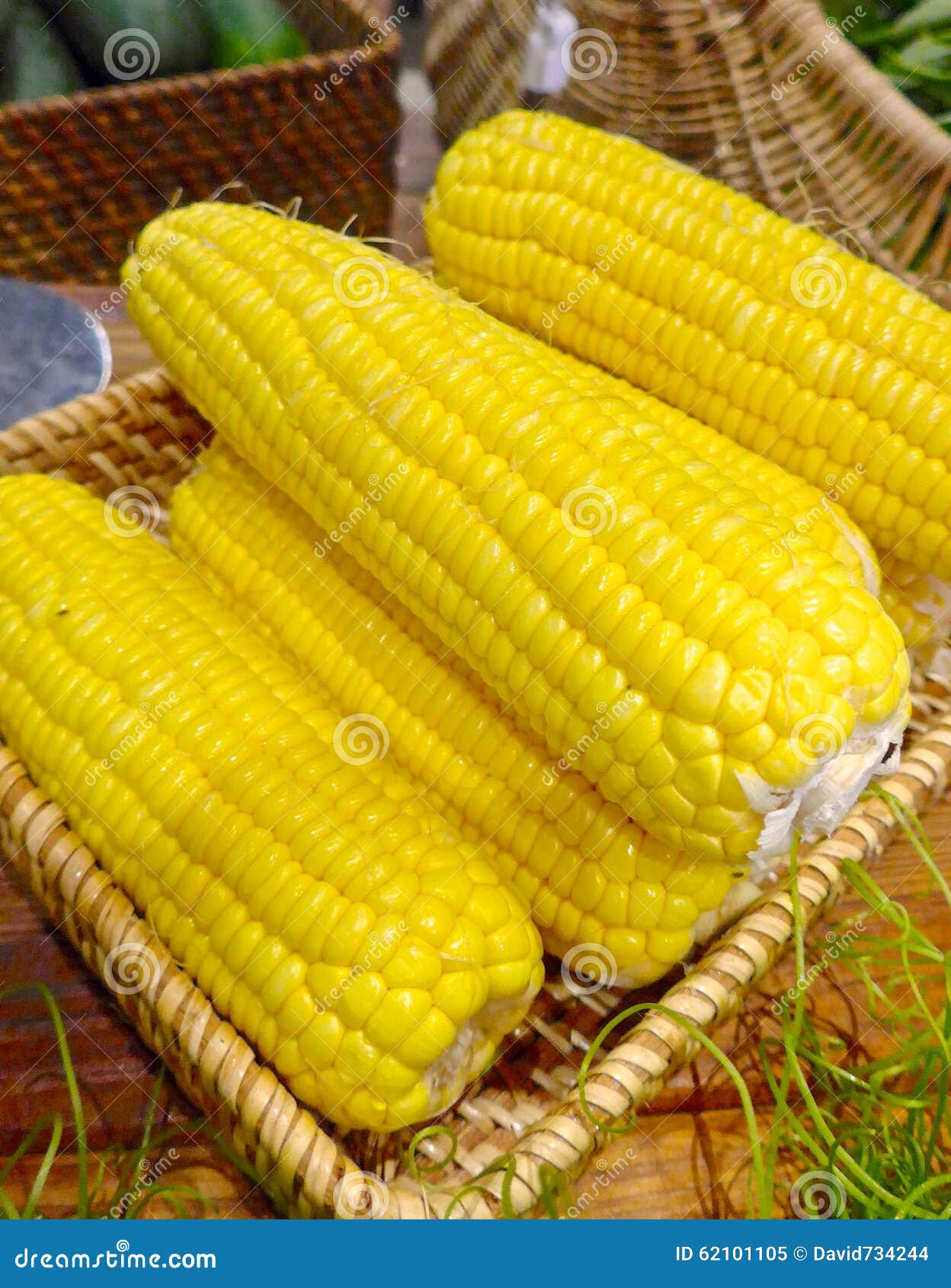 The crops of corn for sale stock image. Image of product - 62101105