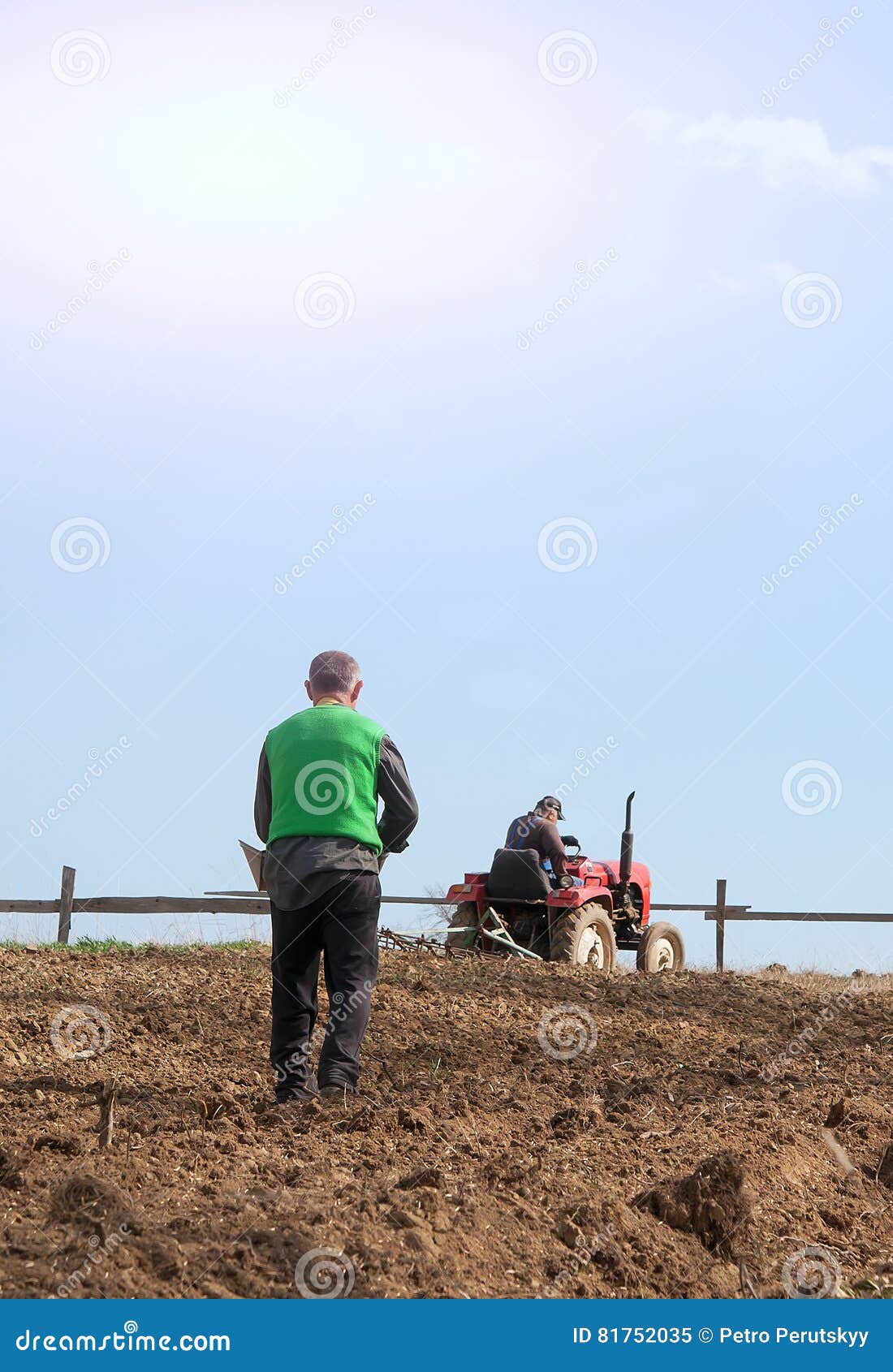 Crops at field stock image. Image of field, manufacturing - 81752035