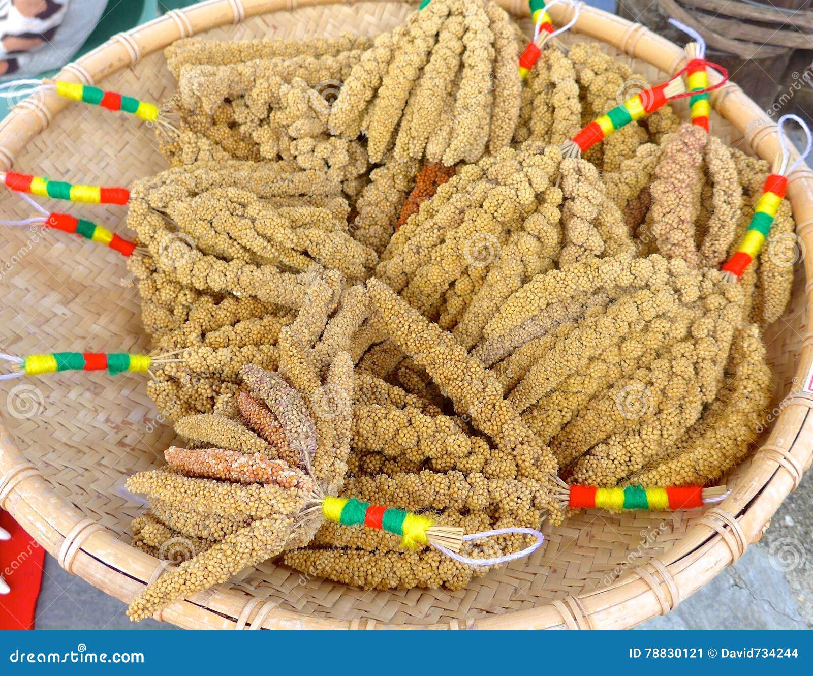 The Crops of Millet for Aborigines Stock Image - Image of foliage ...