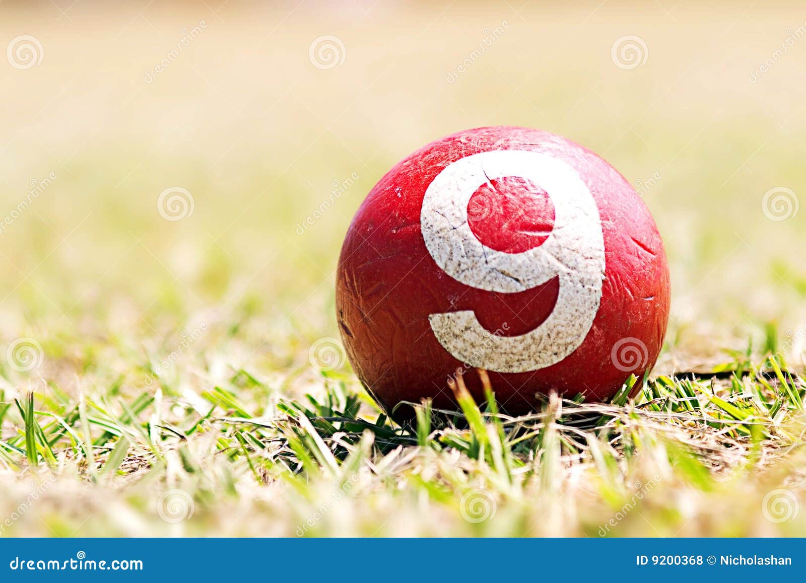 Croquet ball stock photo. Image of mallet, english, lawn - 9200368