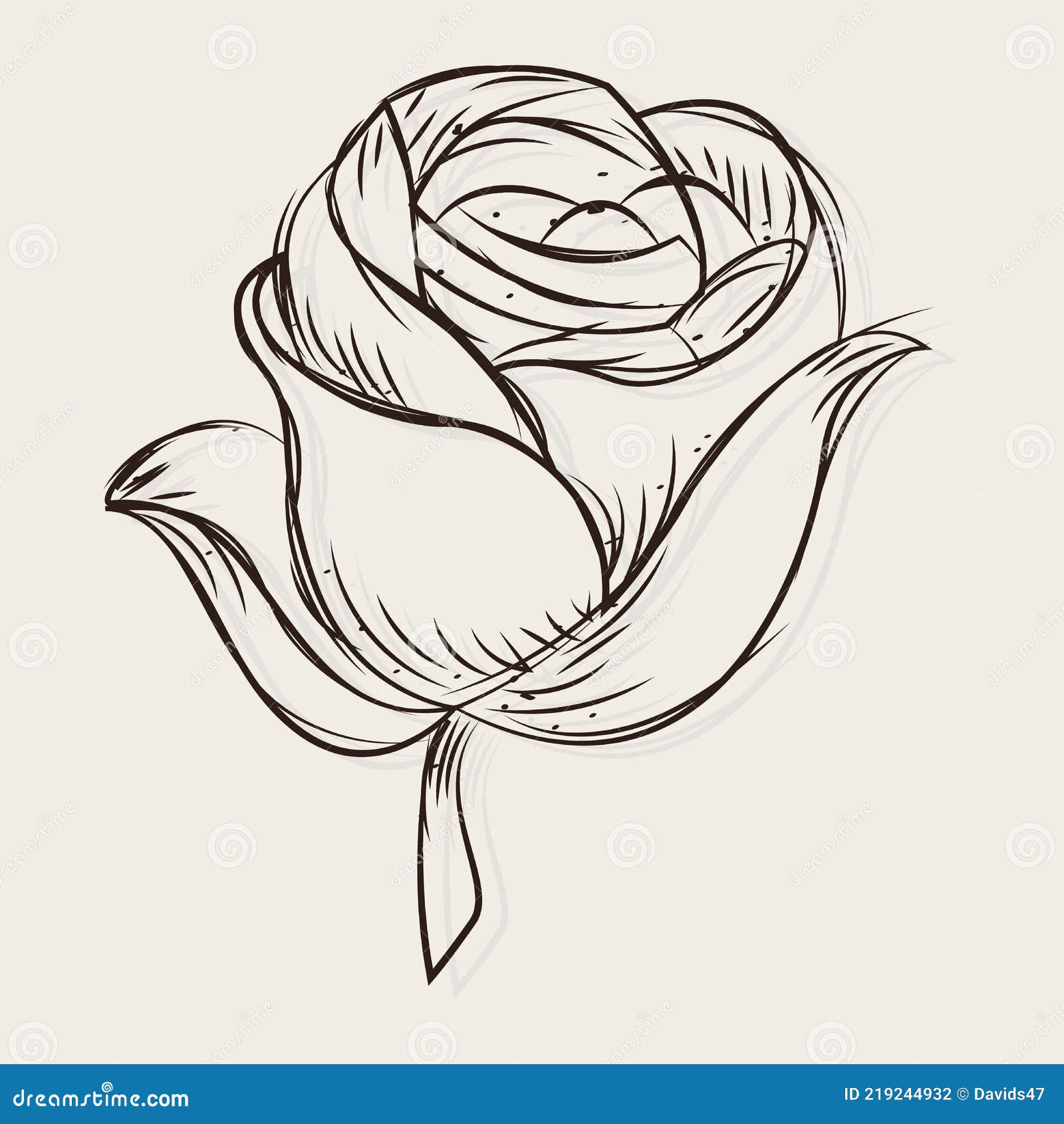 Croquis D'une Fleur De Rose Illustration de Vecteur - Illustration du ...
