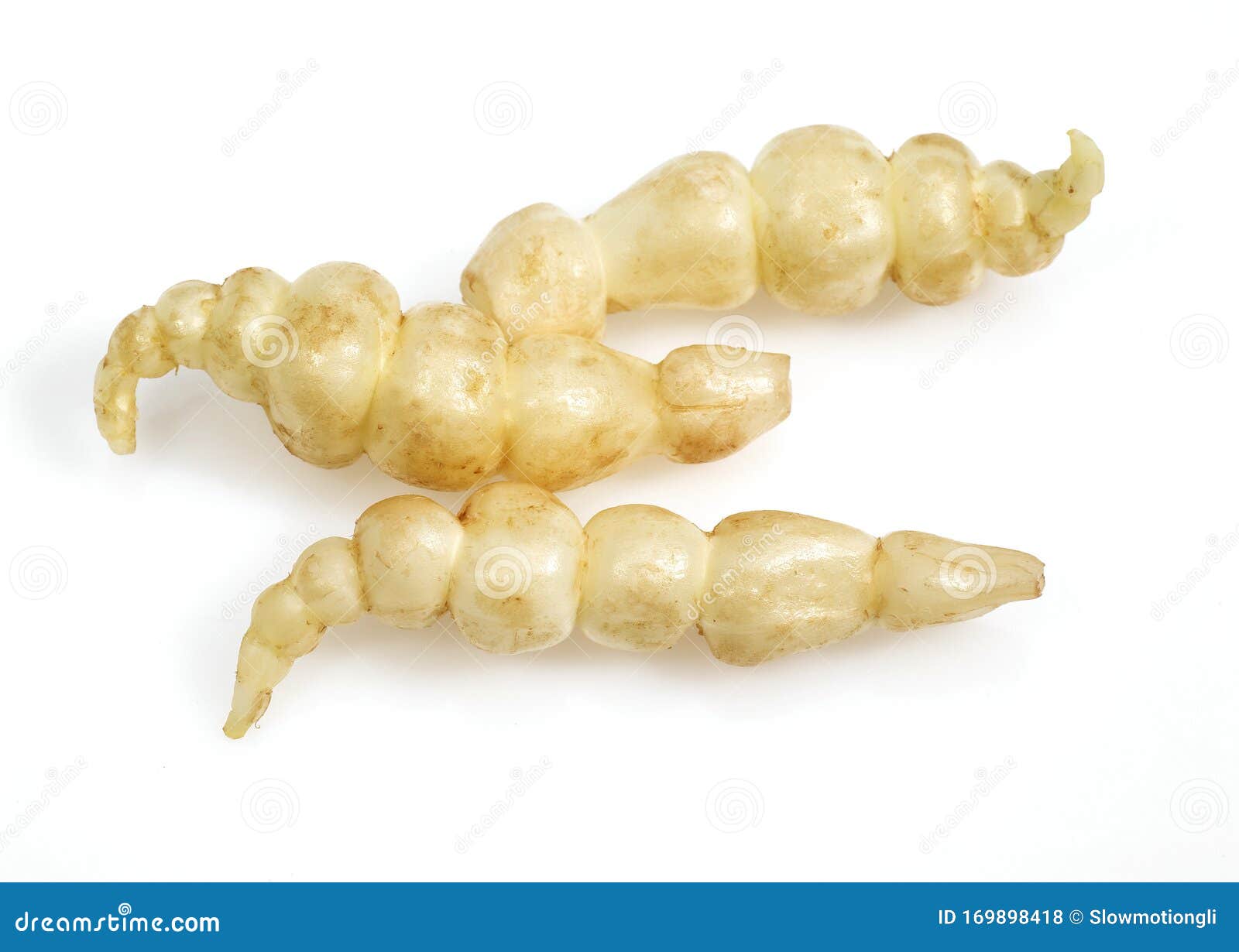 CROSNE stock photo. Image of ingredient, stachys, vegetable - 169898418