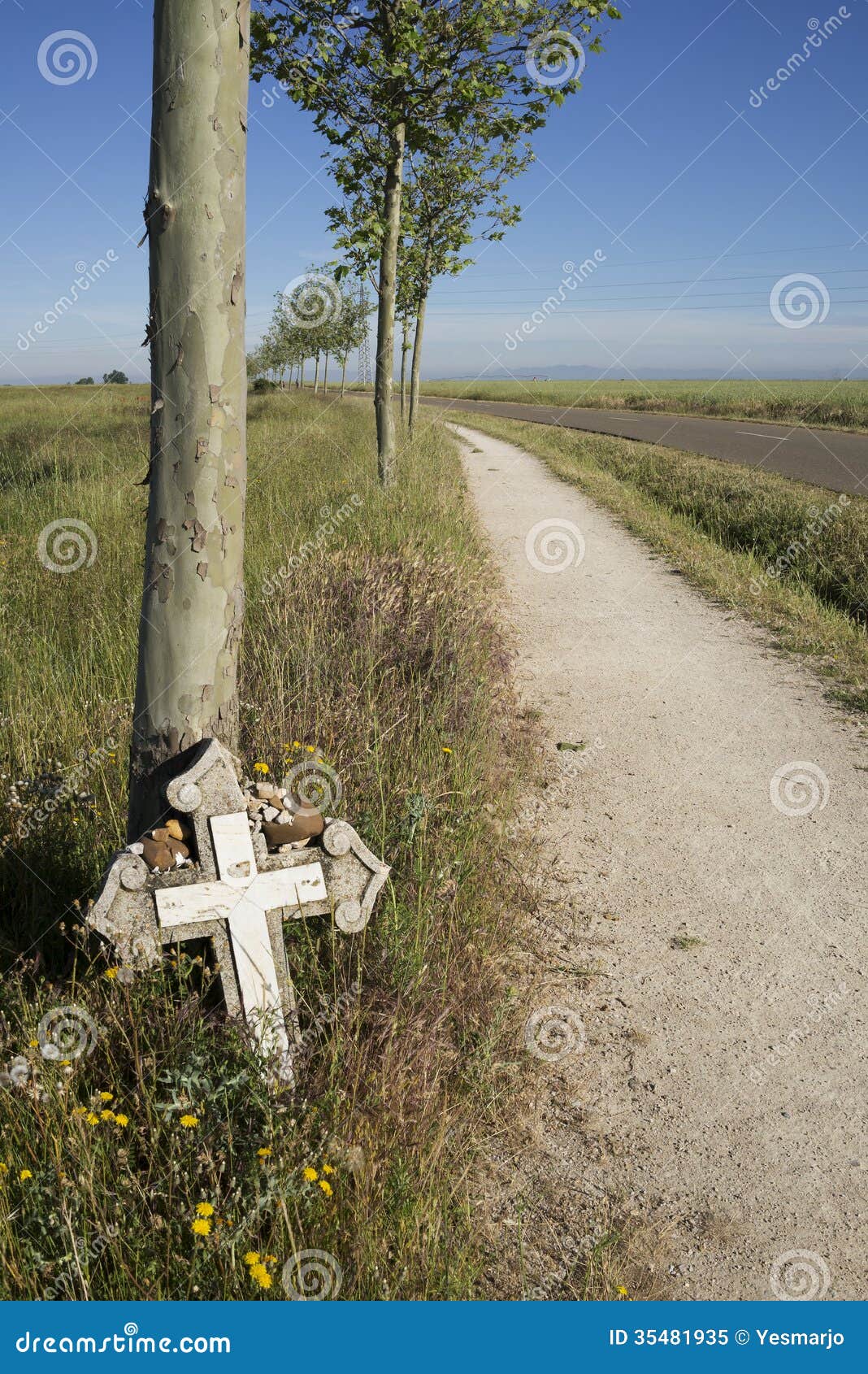 Cross against tree stock image. Image of religion, believe - 35481935